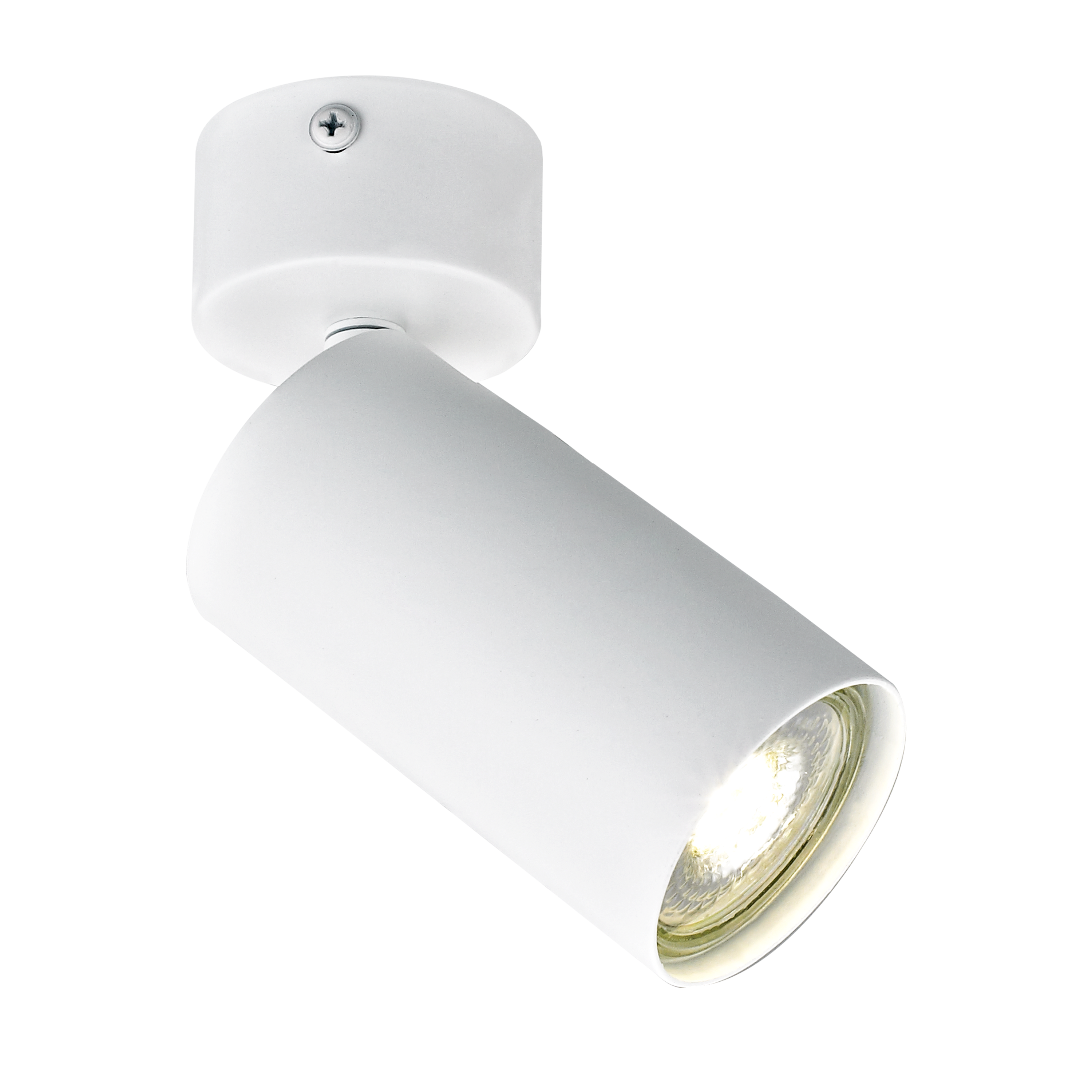 Spot à fixer, orientable GU10 D.5.5 cm, Ubla blanc INSPIRE | Leroy Merlin