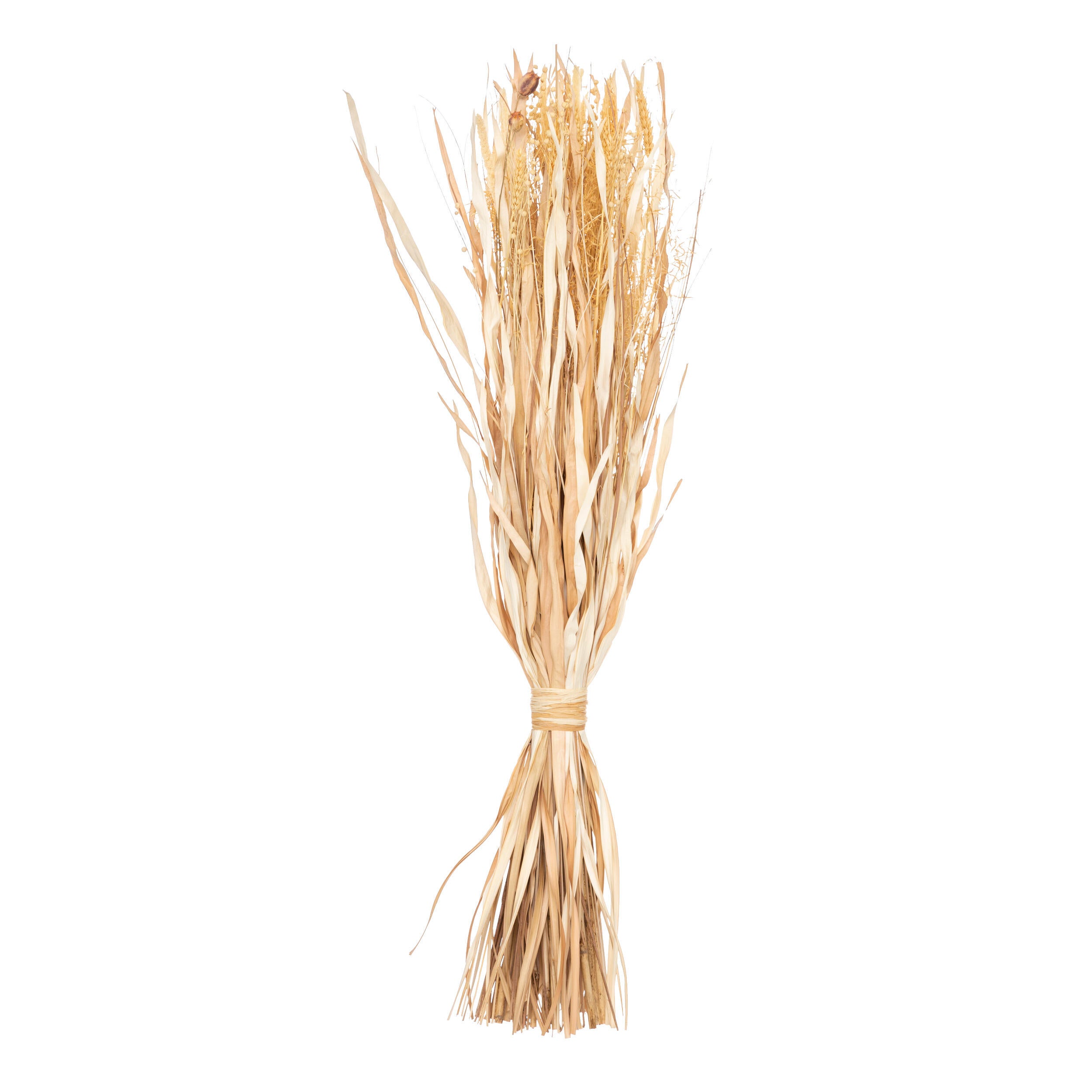 Fagot, naturel H114 | Leroy Merlin