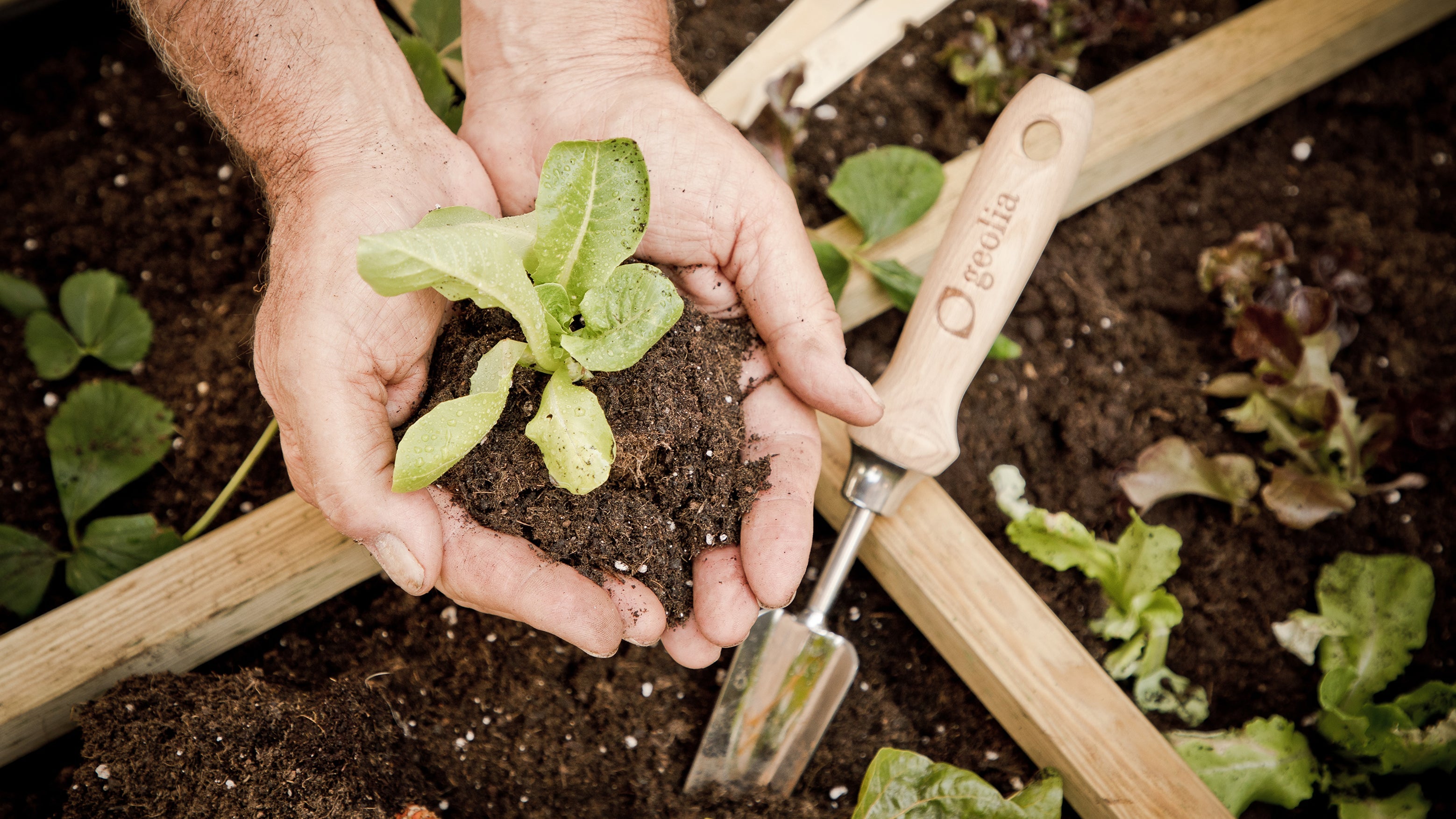 Geolia | Leroy Merlin