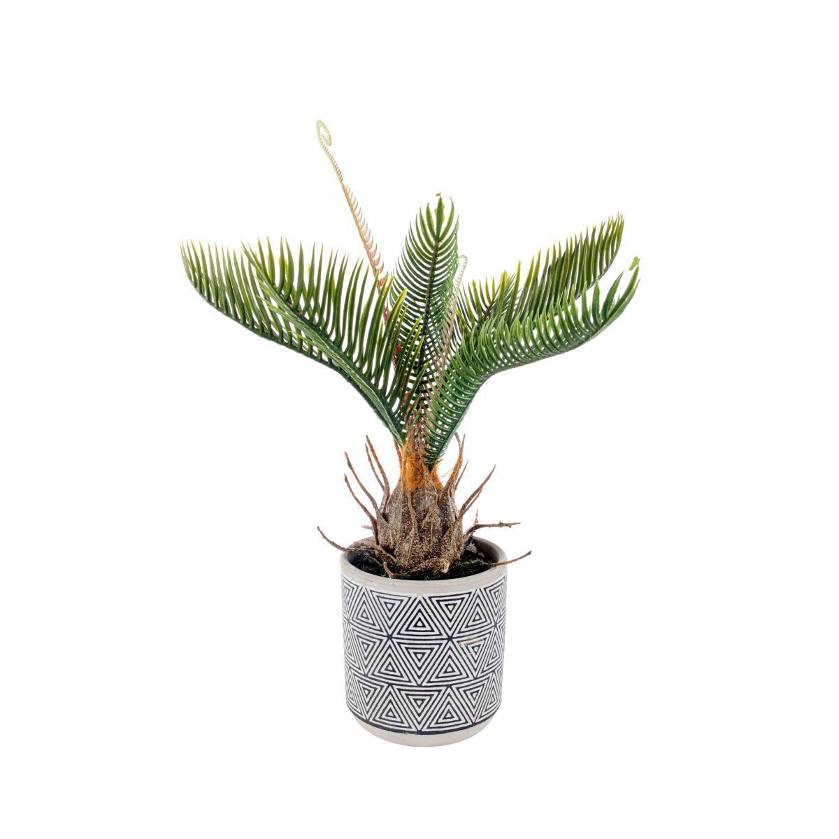 Composizione di piante artificiali Cycas H 40 cm senza vaso | Leroy Merlin