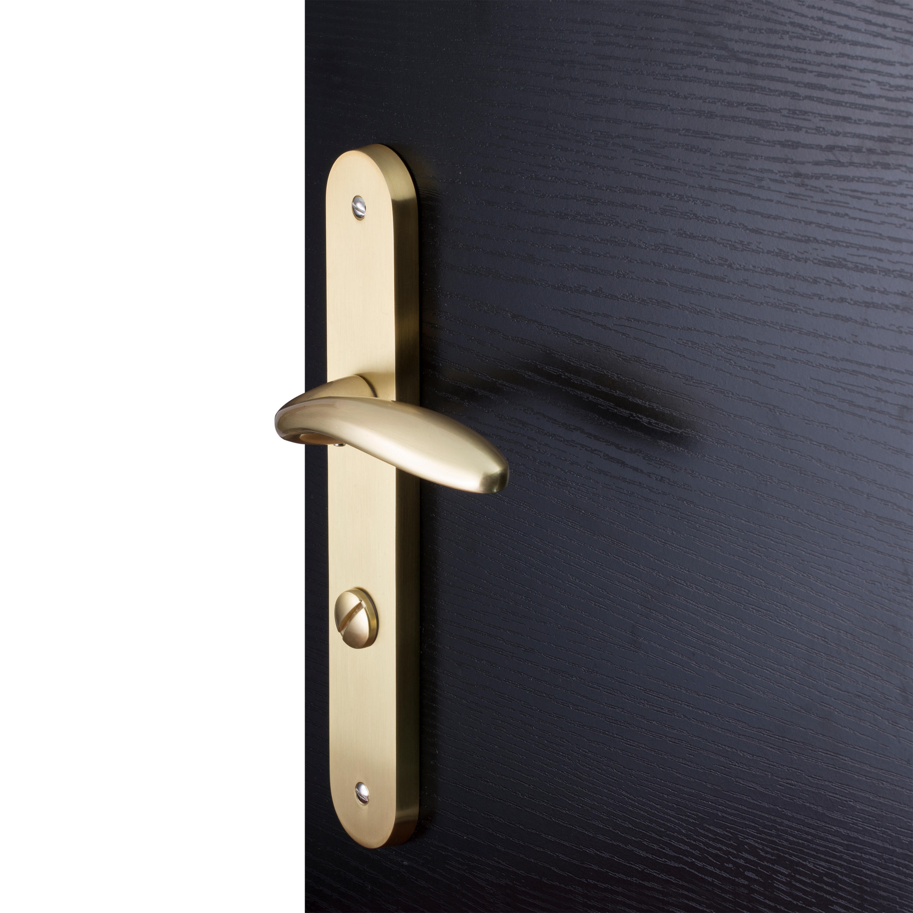 2 poignées sur plaque à condamnation Agathe zamak brillant, entraxe 195 ...