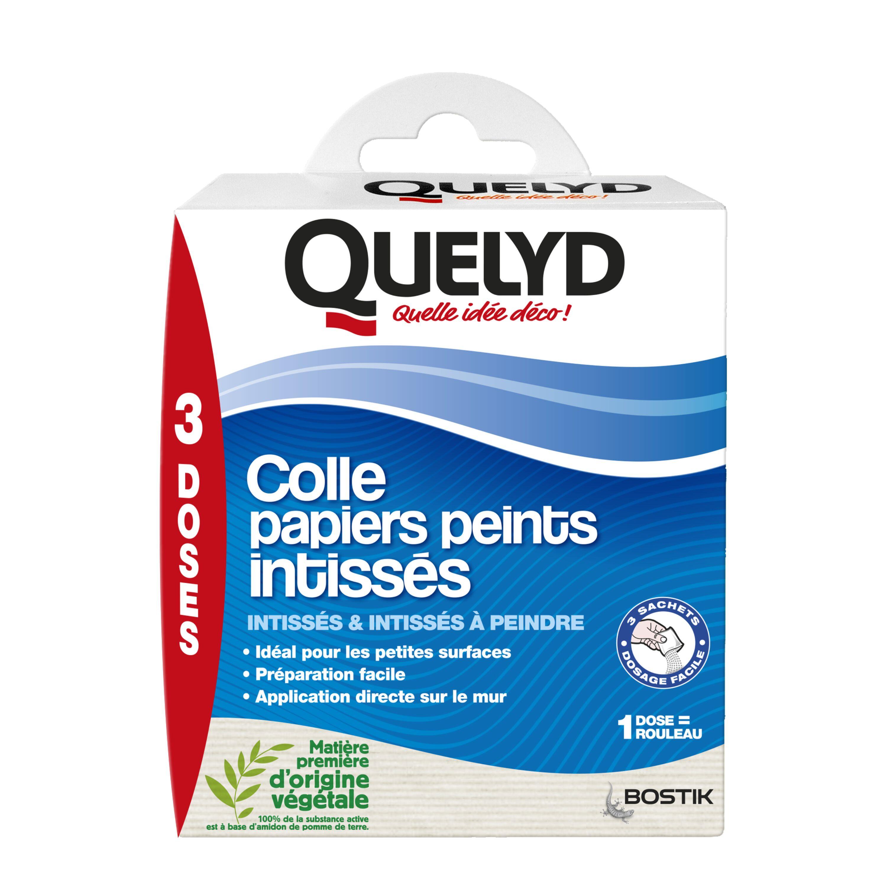 Colle en poudre pour papiers peints intissés QUELYD, 150g | Leroy Merlin