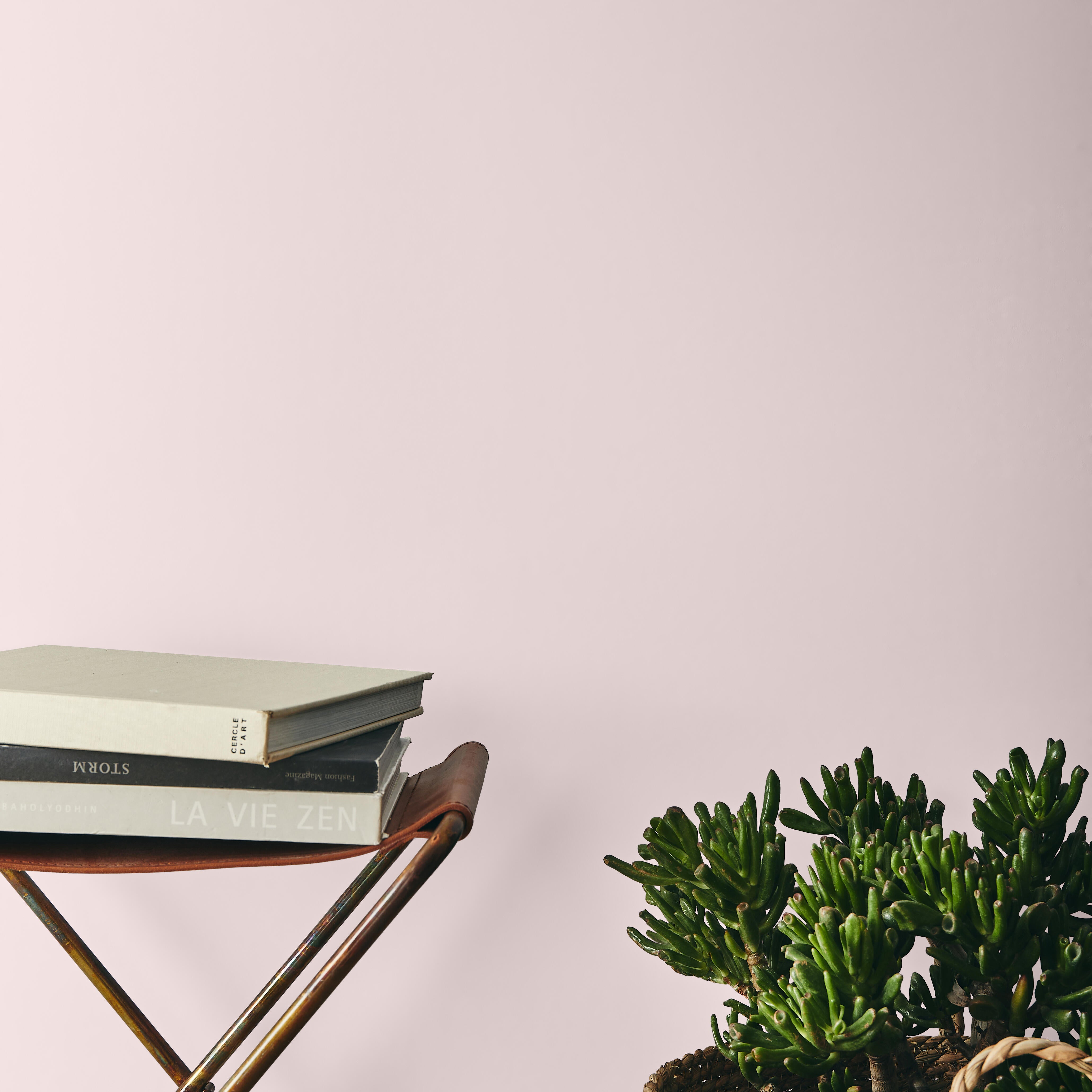 Pittura per interni per parete e soffitto lavabile, LUXENS Opaca viola ...