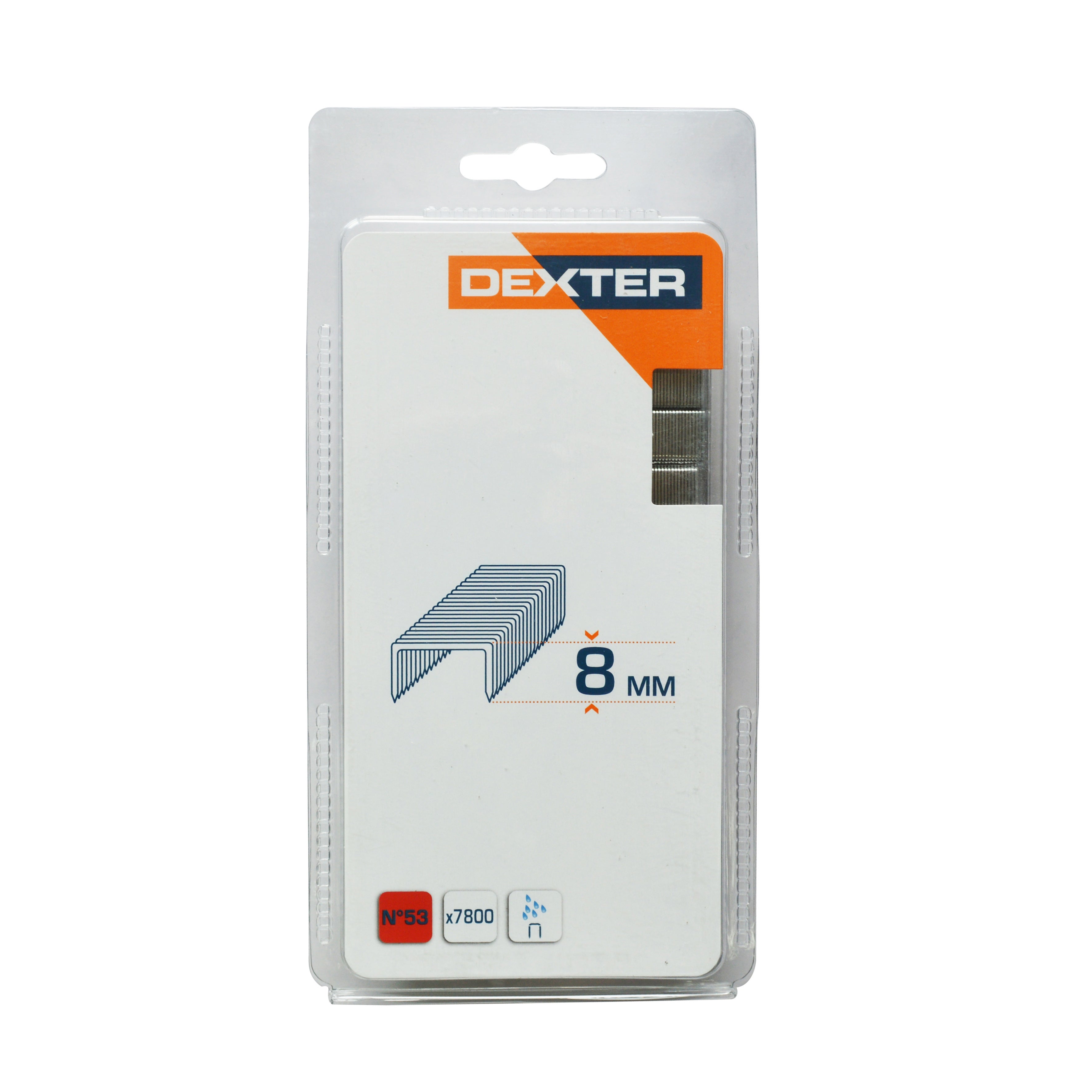 Lot de 7800 agrafes DEXTER N°53, 8 mm | Leroy Merlin
