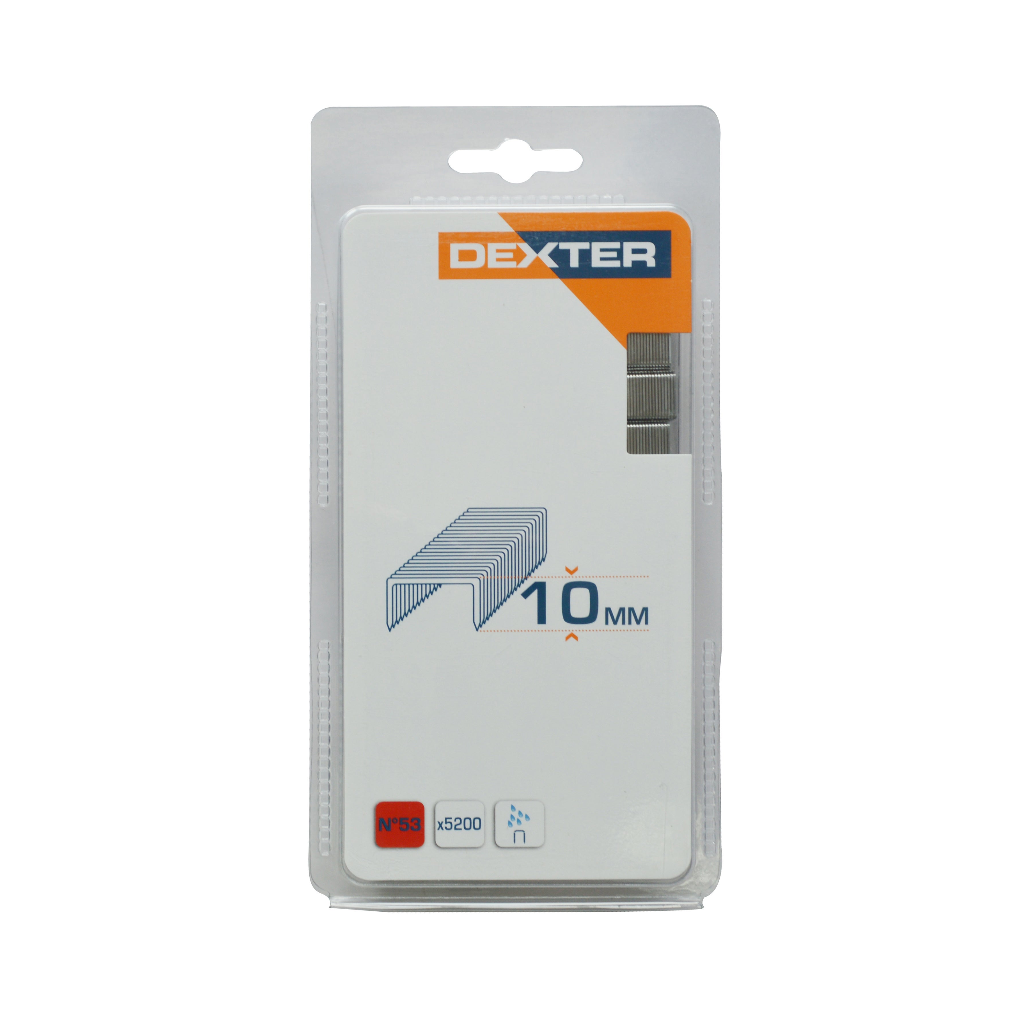 Lot de 5200 agrafes DEXTER N°53, 10 mm | Leroy Merlin