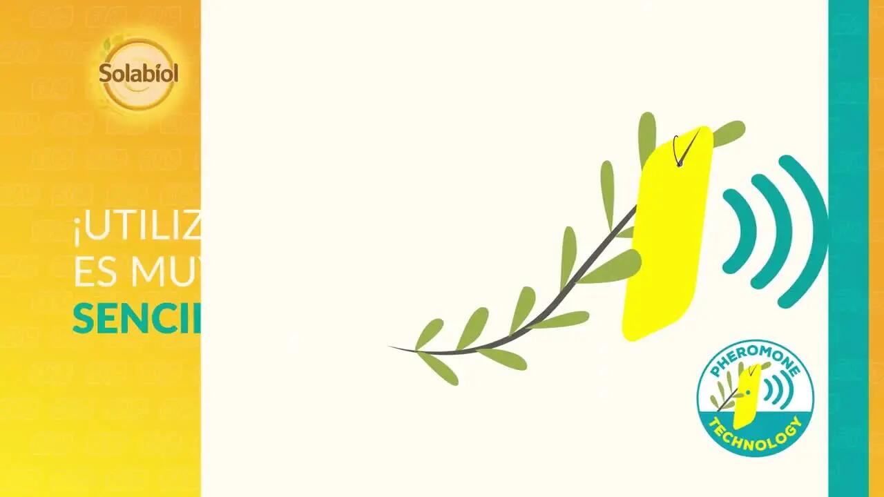 Insecticida SOLABIOL cítricos placa con feromona | Leroy Merlin
