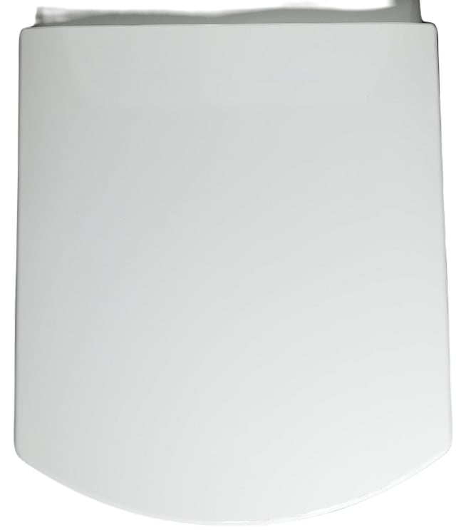 Tapas de inodoro Roca | Leroy Merlin