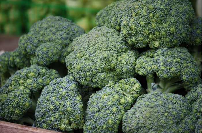 ¿Cómo cuidar y cultivar brócoli? | Leroy Merlin