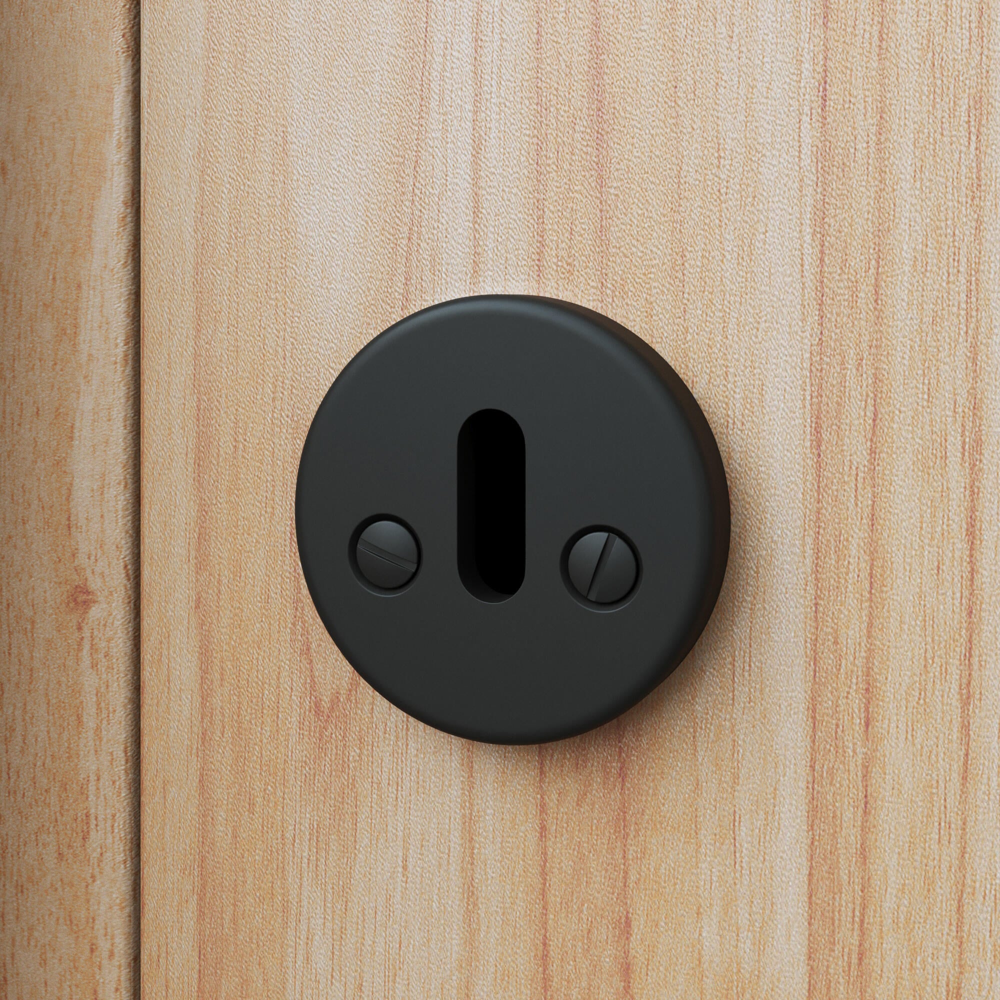 2 rosaces trou de clé Lina acier noir mat E2 | Leroy Merlin