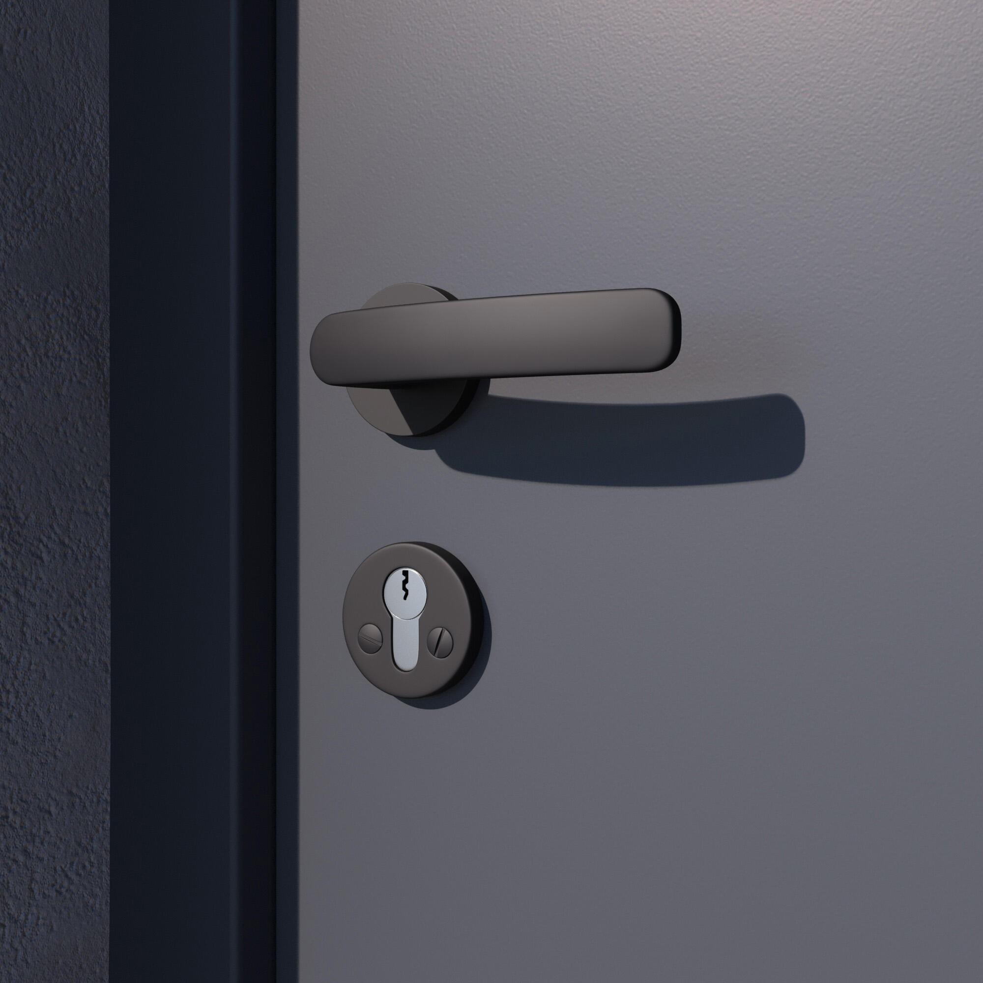 2 poignées sur rosace avec rosace de fonction cylindre LINA alu noir ...