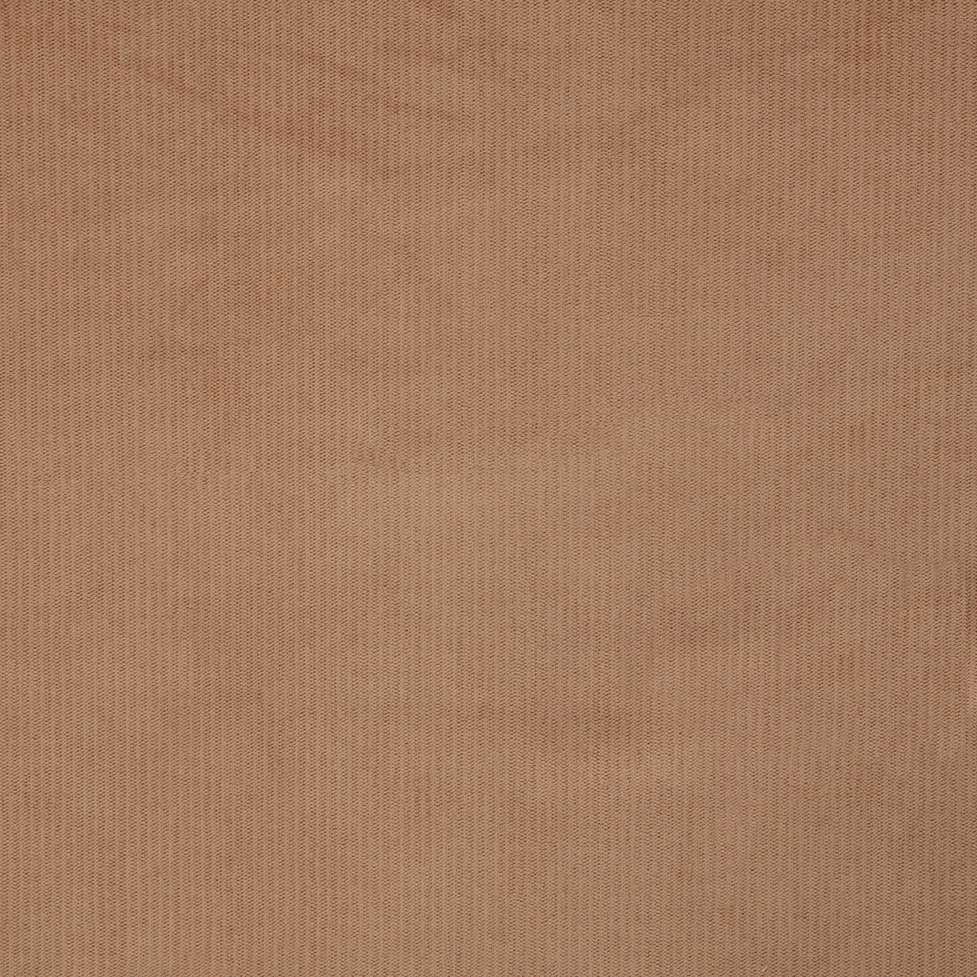 Tela al corte tapicería terciopelo Terciopel camel ancho 140 cm | Leroy ...