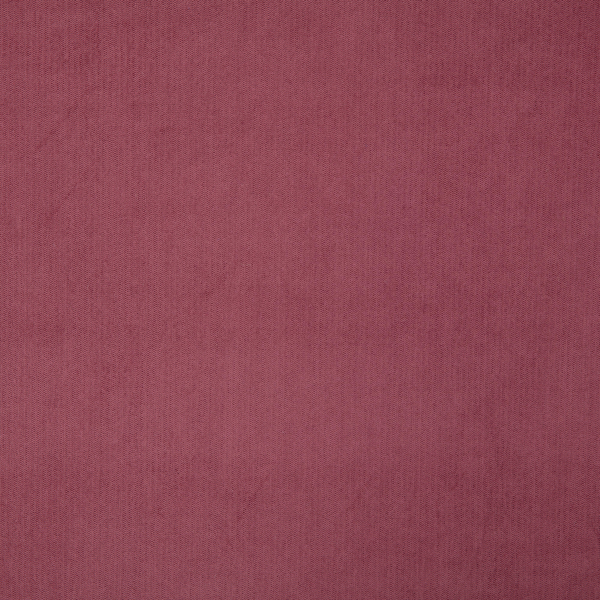 Tela al corte tapicería terciopelo Terciopel rosa ancho 140 cm | Leroy ...