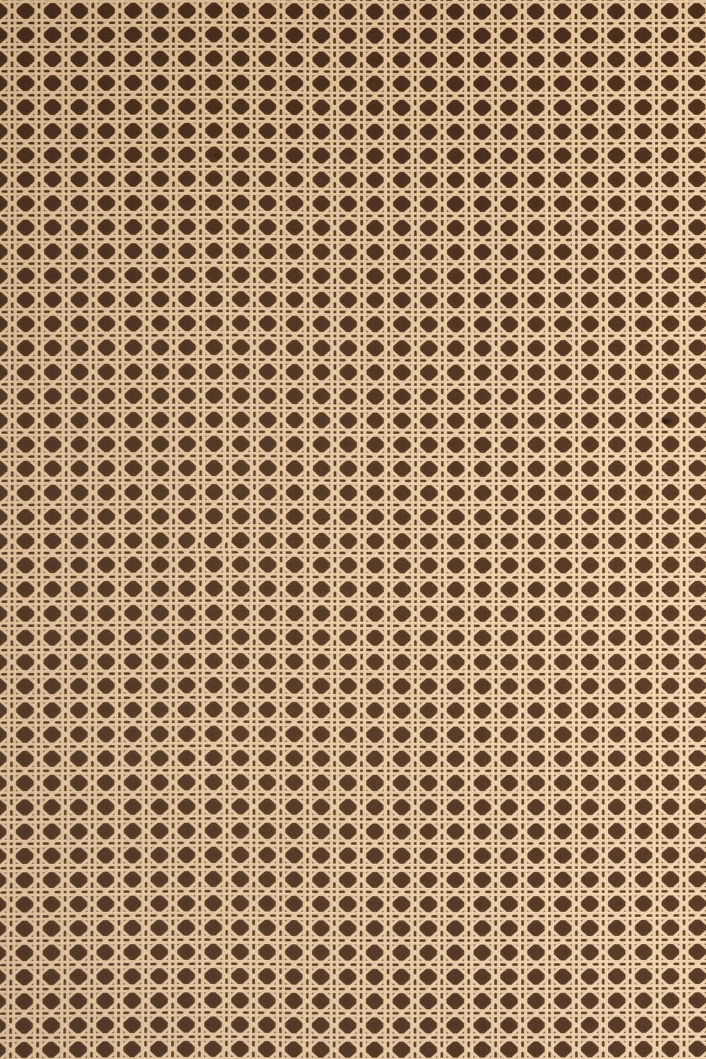 Rouleau adhésif décoratif D-C-FIX Effet cannage, woven cane l.0.45 x L ...