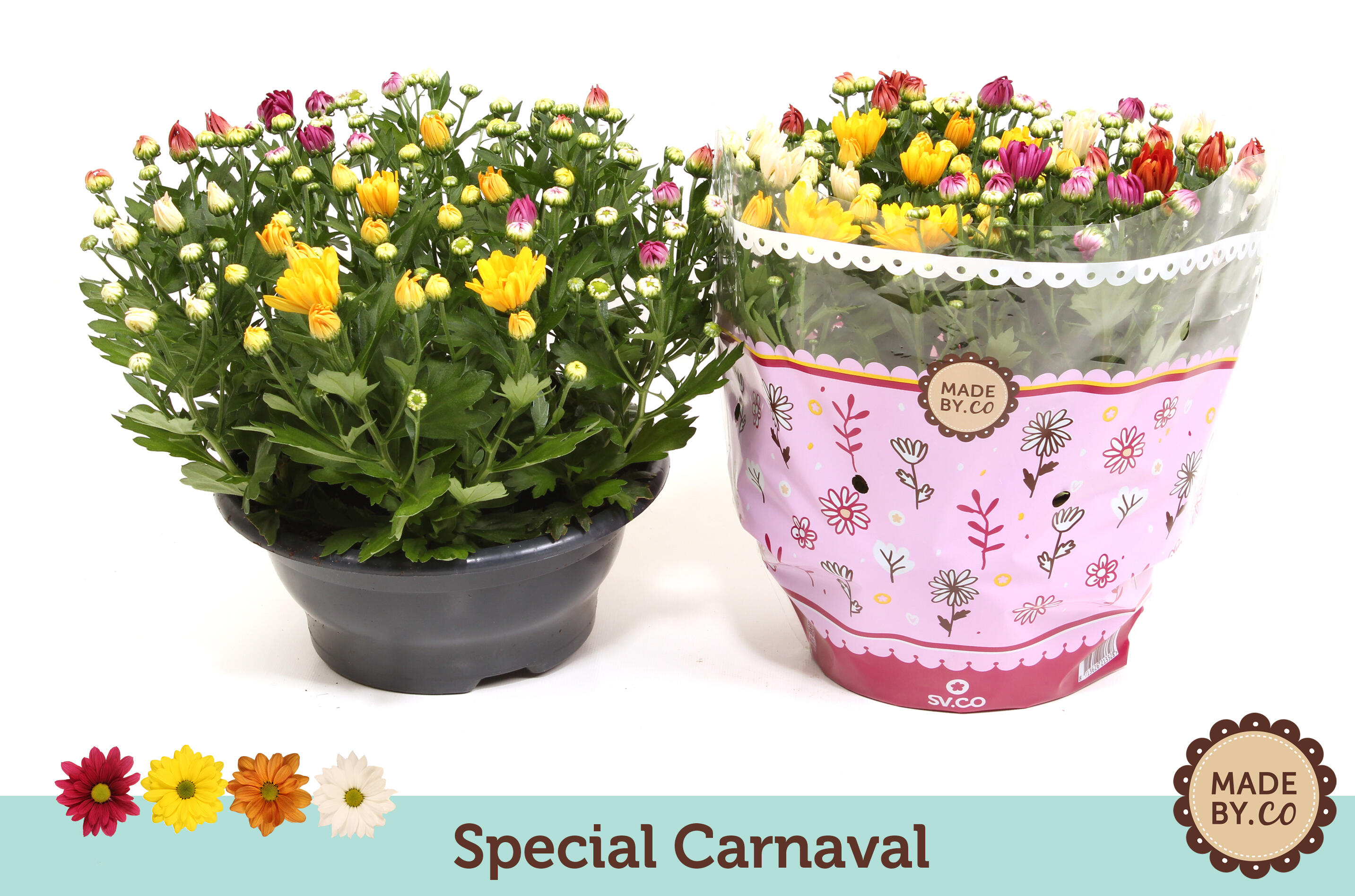 Mix pot de 4 l, H.25 cm | Leroy Merlin