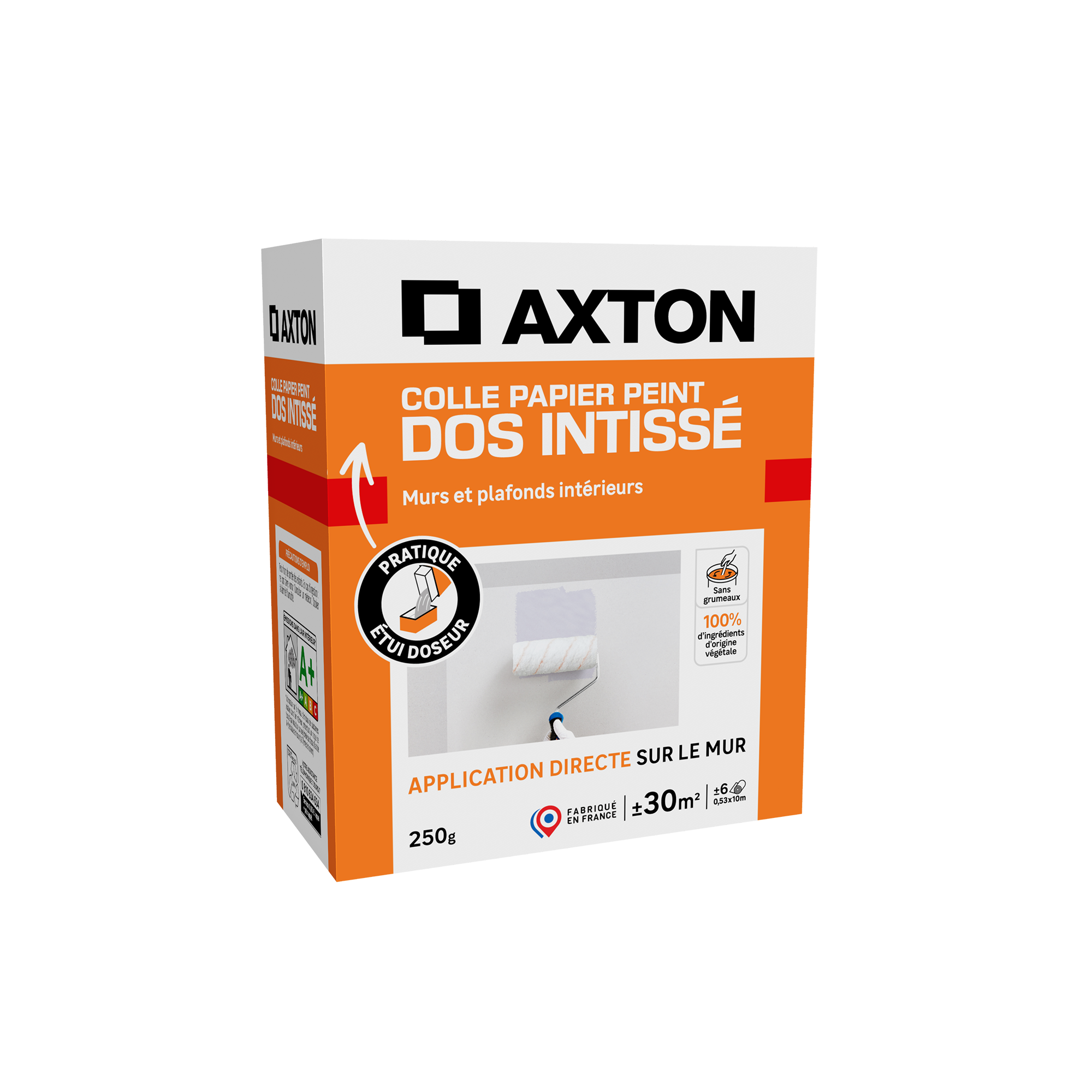 Colle en poudre pour papiers peints intissés AXTON, 250g | Leroy Merlin