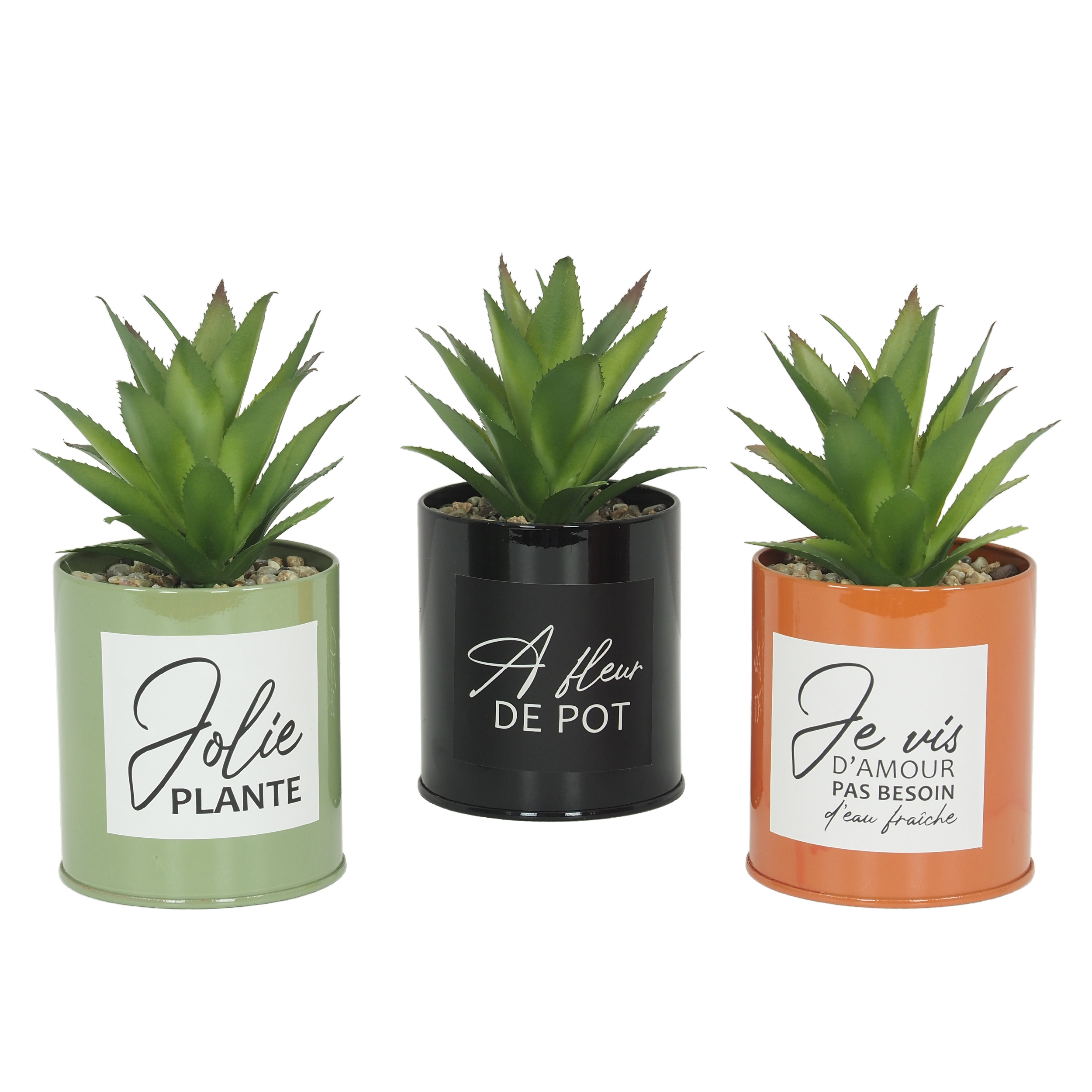 Pot Message Succulente h17cm | Leroy Merlin