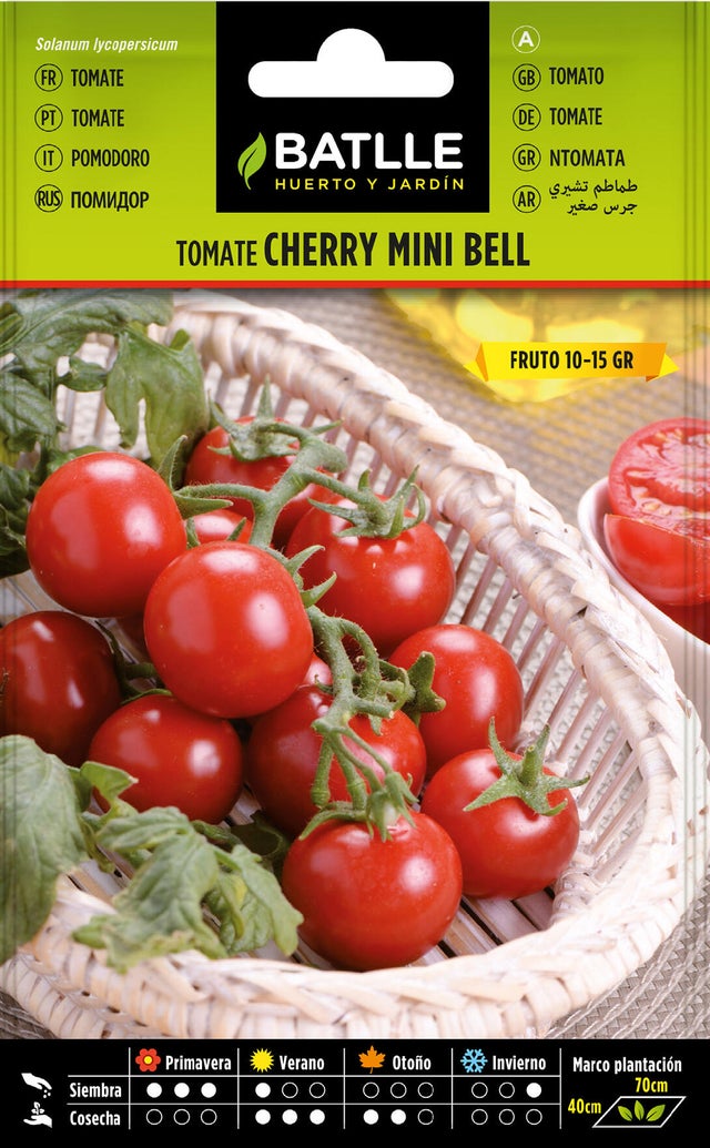 Semillas de tomate: alto rendimiento y fácil cultivo