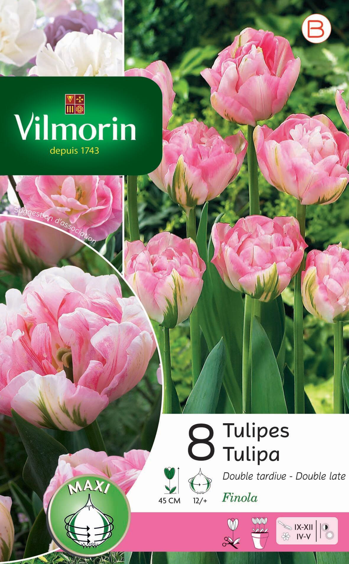 8 bulbe florale tulipa rose pâle | Leroy Merlin