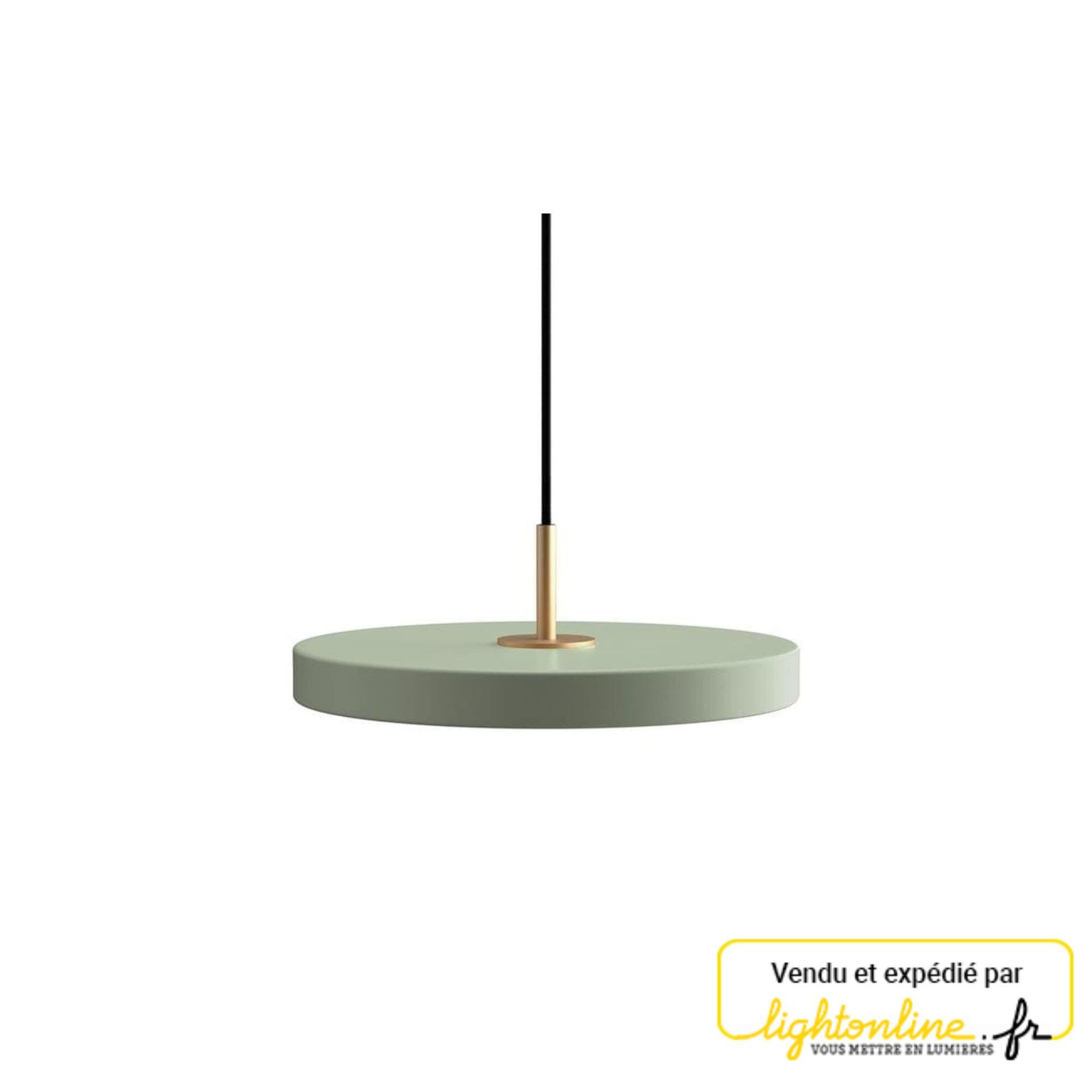 Suspension Mini asteria, acier, vert, Diam.31 cm LED | Leroy Merlin