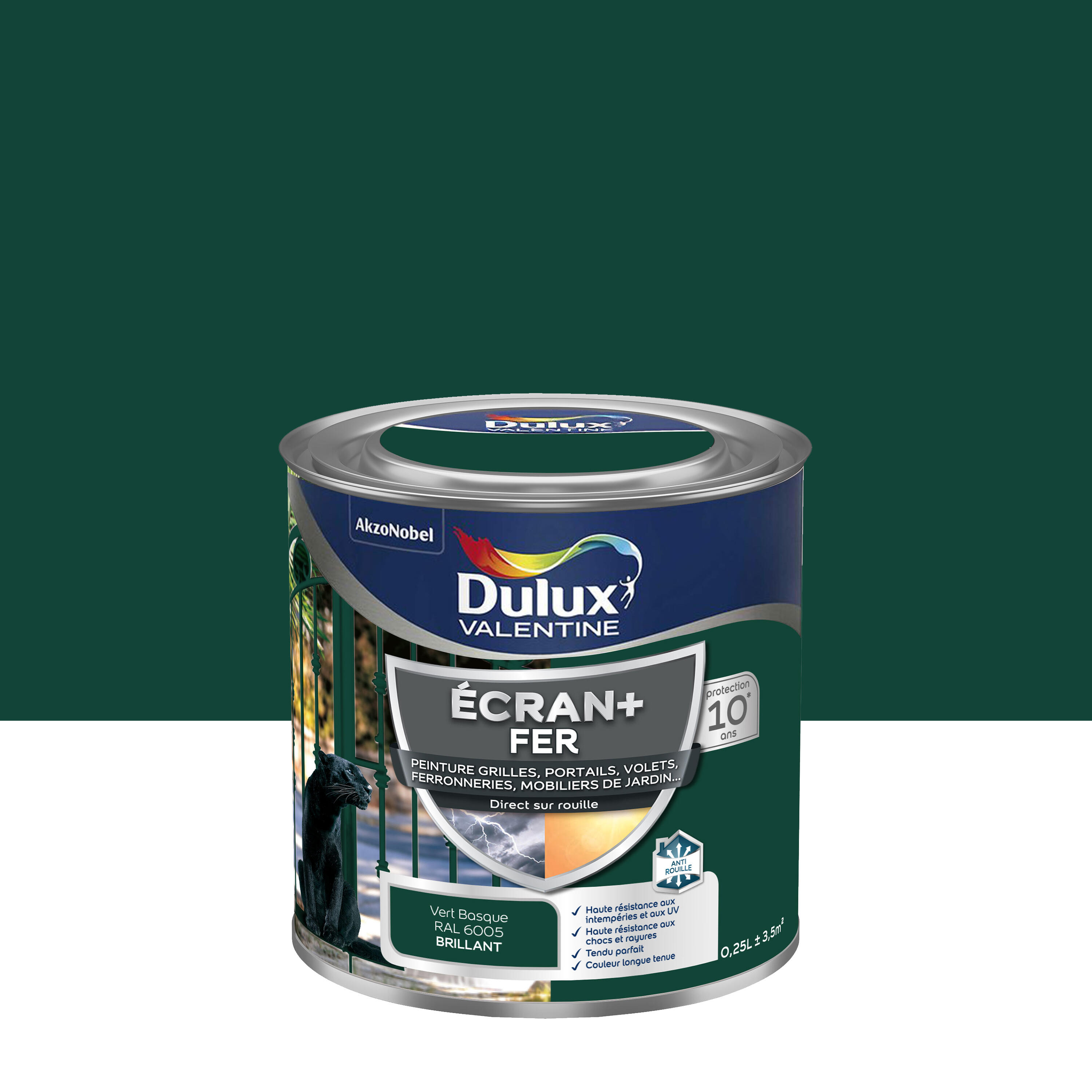 Peinture extérieure fer Ecran + DULUX VALENTINE vert basque brillant 0 ...