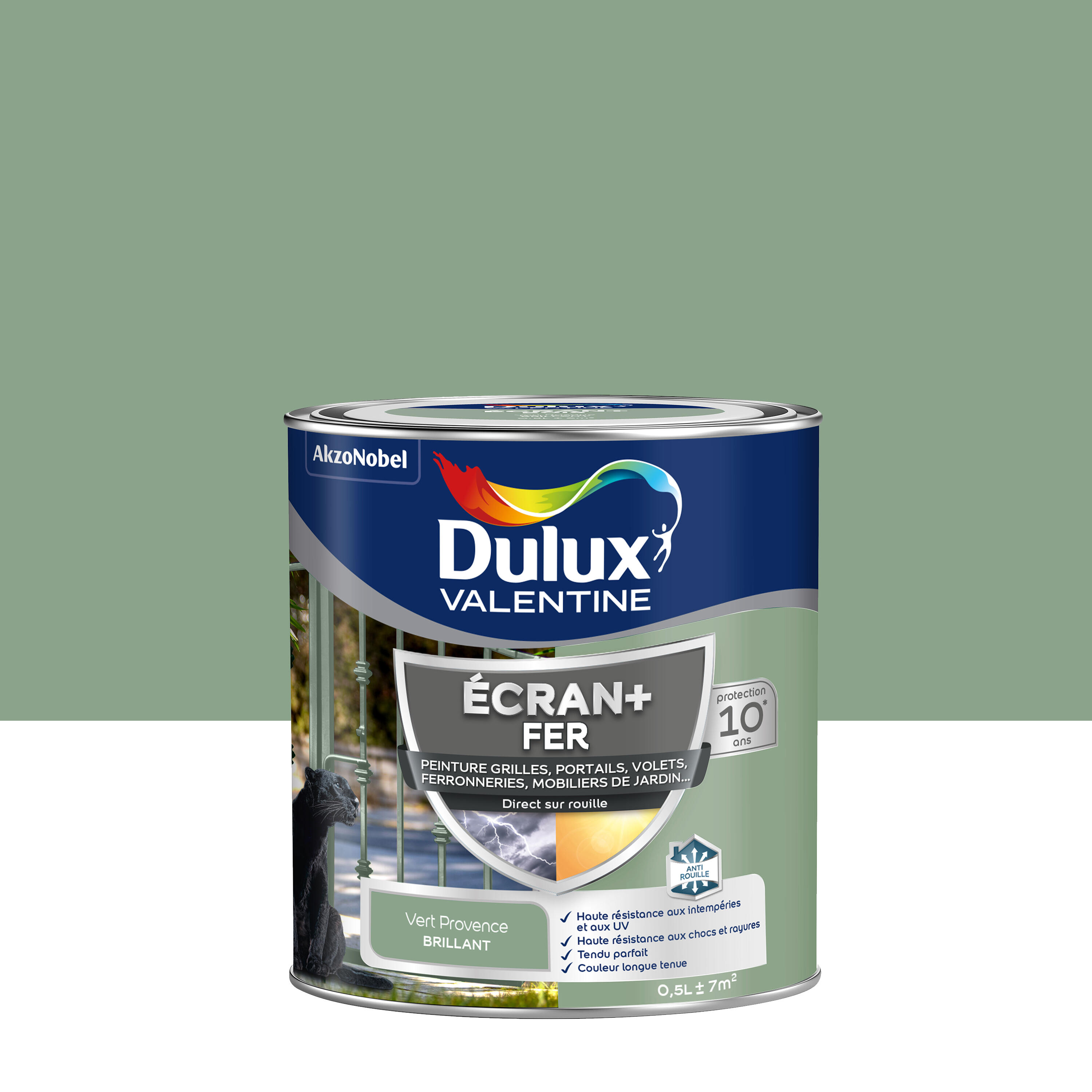 Peinture extérieure fer Ecran + DULUX VALENTINE vert provence brillant ...