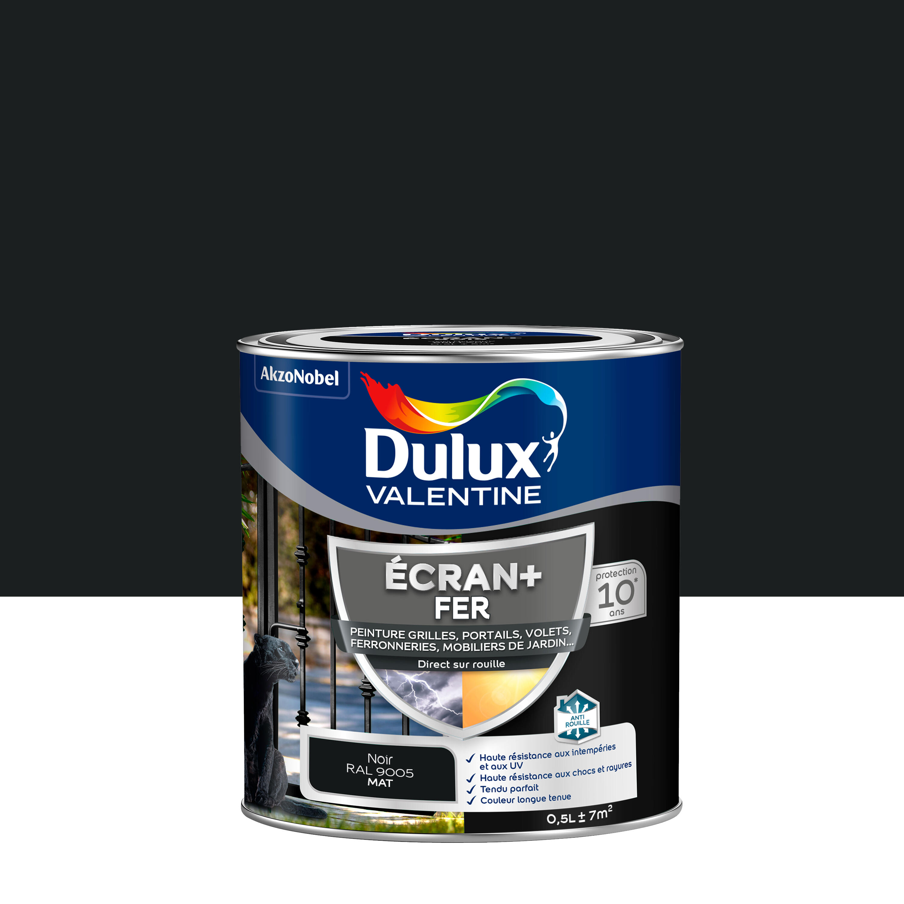 Peinture extérieure fer Ecran + DULUX VALENTINE noir mat 0.5L | Leroy ...