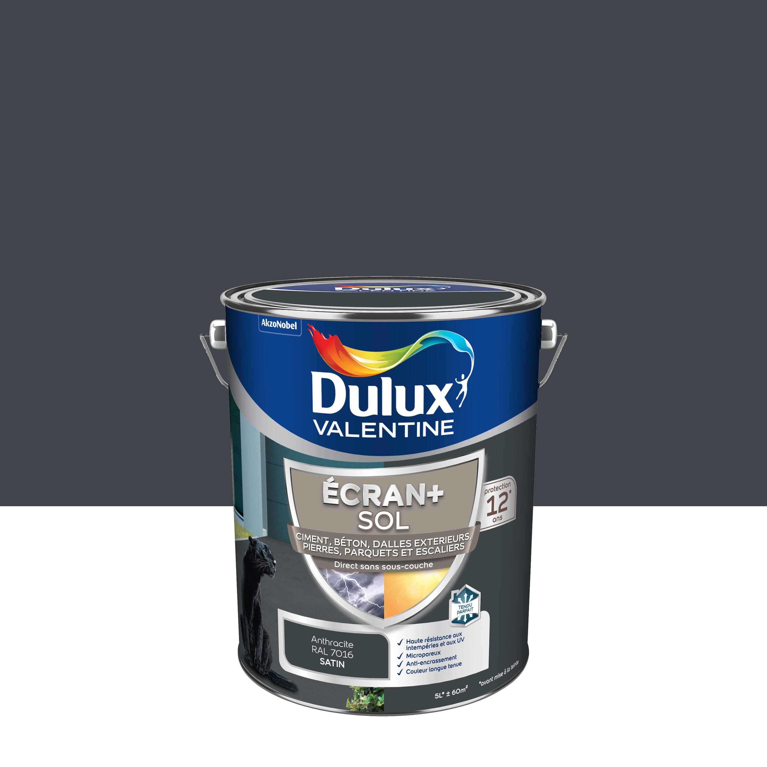 Peinture sol Ecran + DULUX VALENTINE, gris anthracite satiné, 5 l | Leroy Merlin