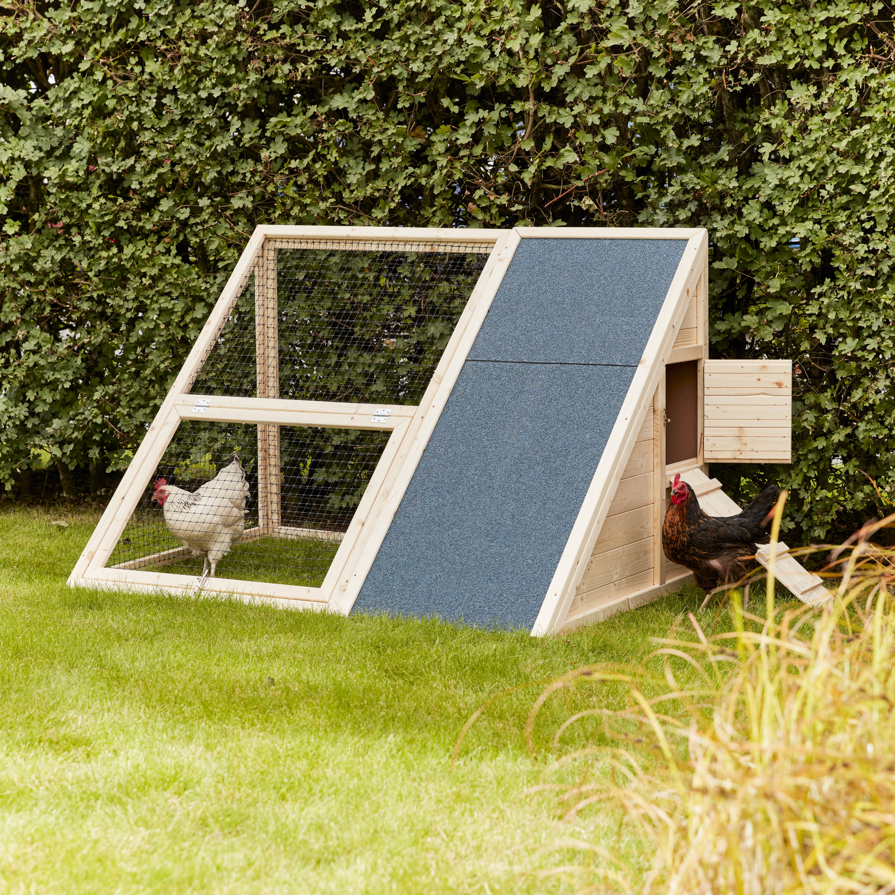 Poulailler Ava moderne, FOREST-STYLE 1,5m² | Leroy Merlin