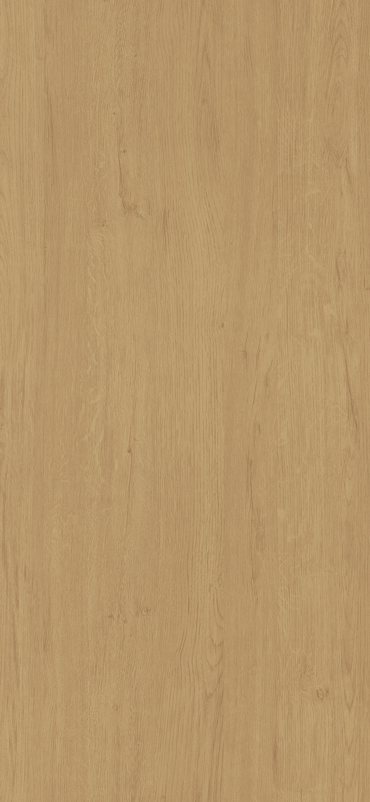 Tablero aglomerado de 4 cantos roble miel 59,7x120x1,6 cm ...