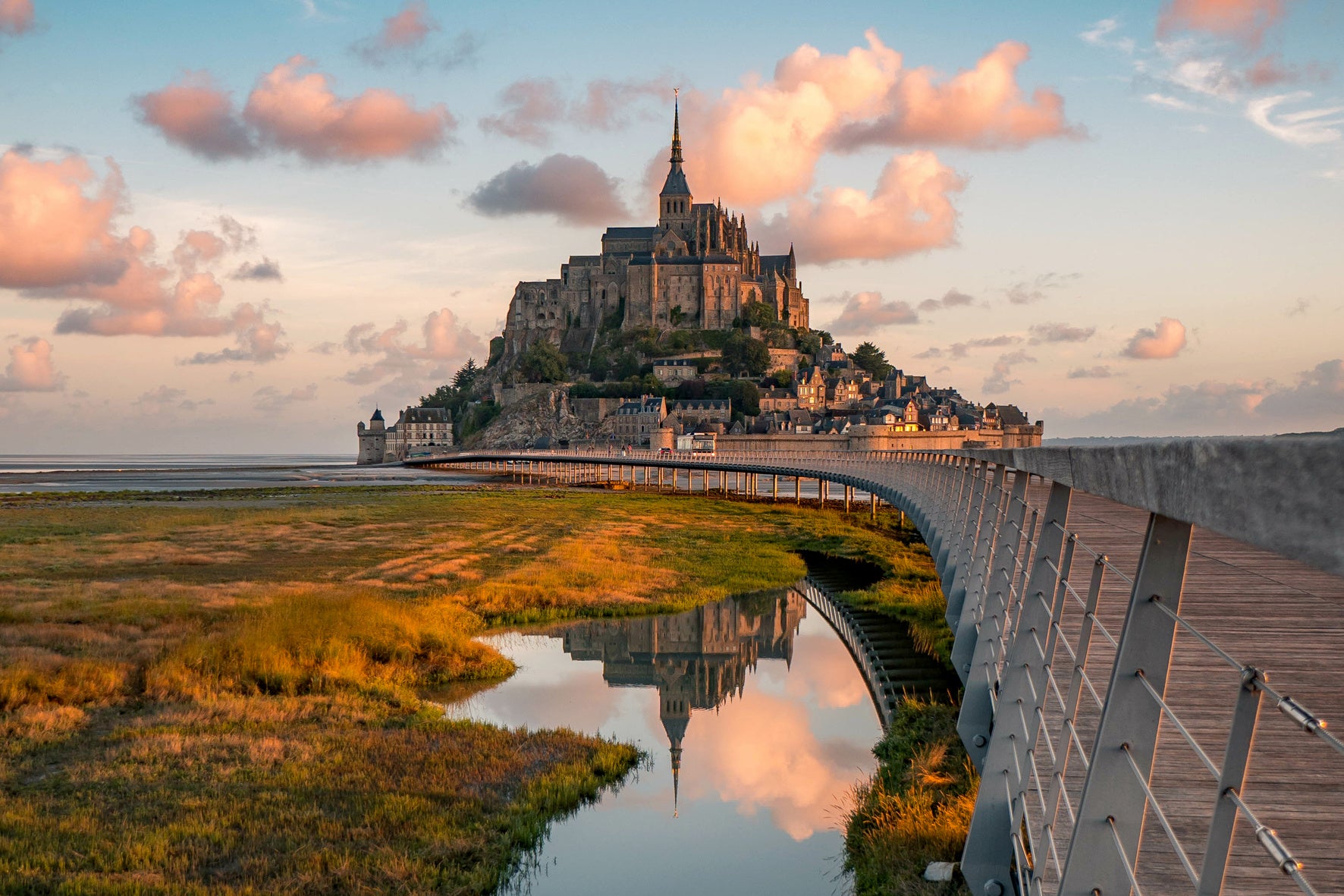 Toile M. ST MICHEL, rose CEANOTHE l.97 x H.65 cm | Leroy Merlin