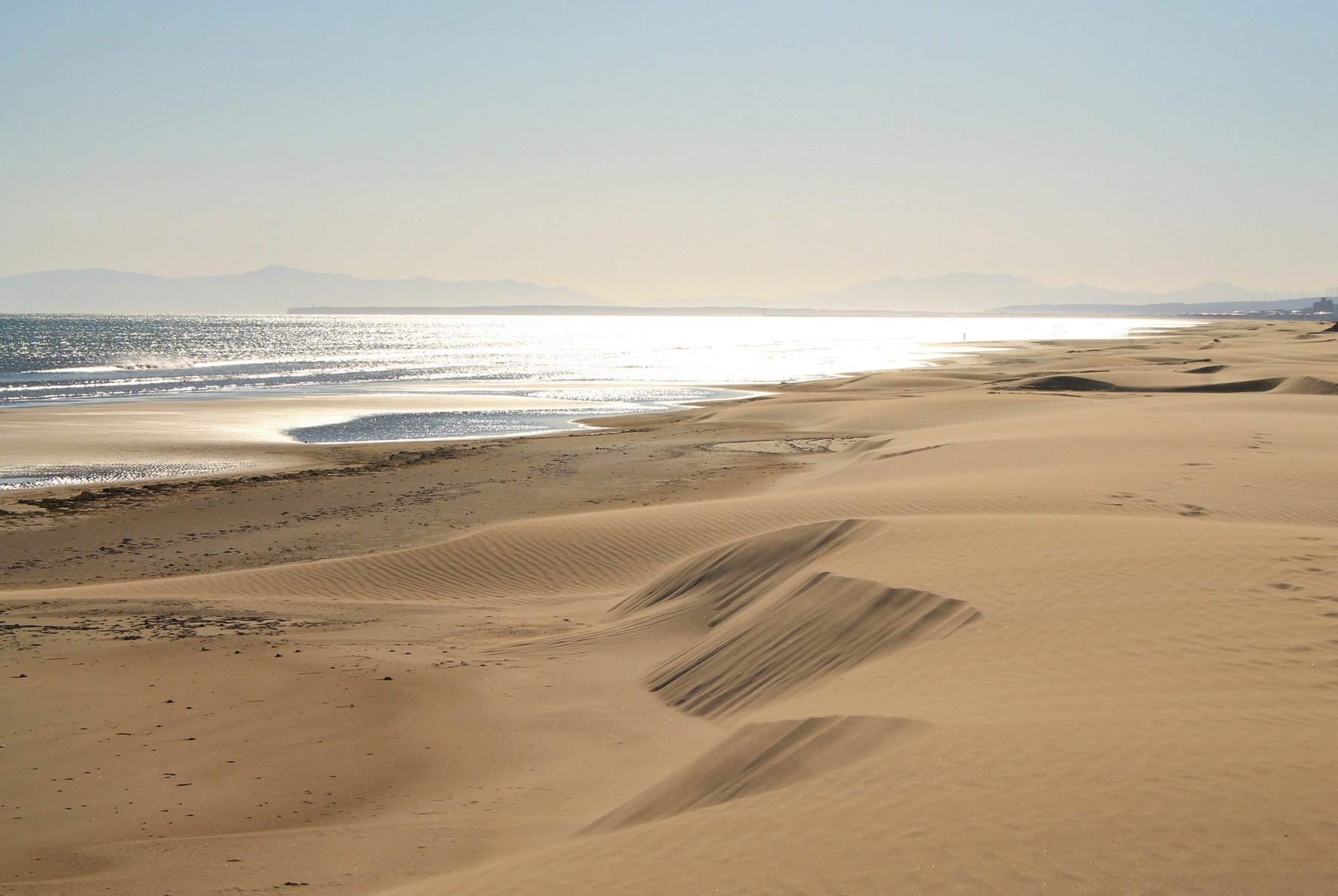 Toile PLAGE GRUISSAN, multicolore CEANOTHE l.65 x H.45 cm | Leroy Merlin