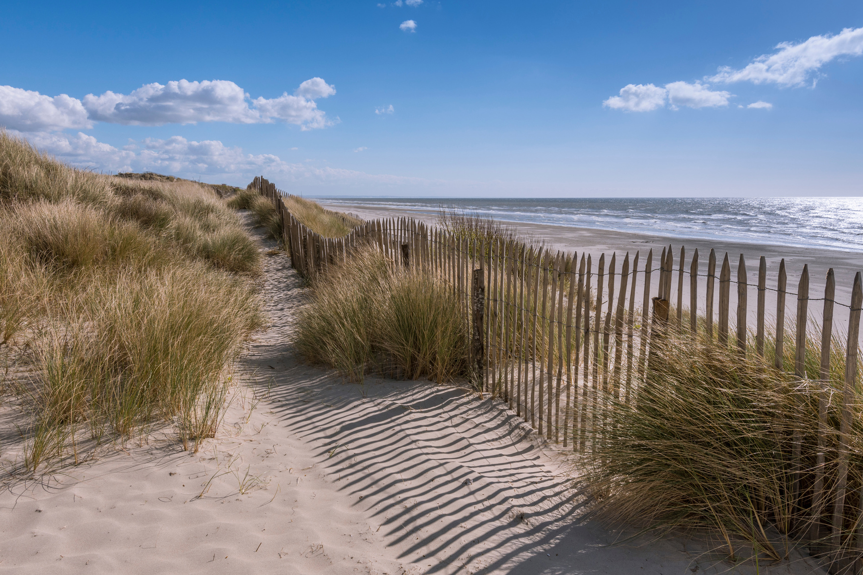 Toile PLAGE, multicolore CEANOTHE l.65 x H.45 cm | Leroy Merlin