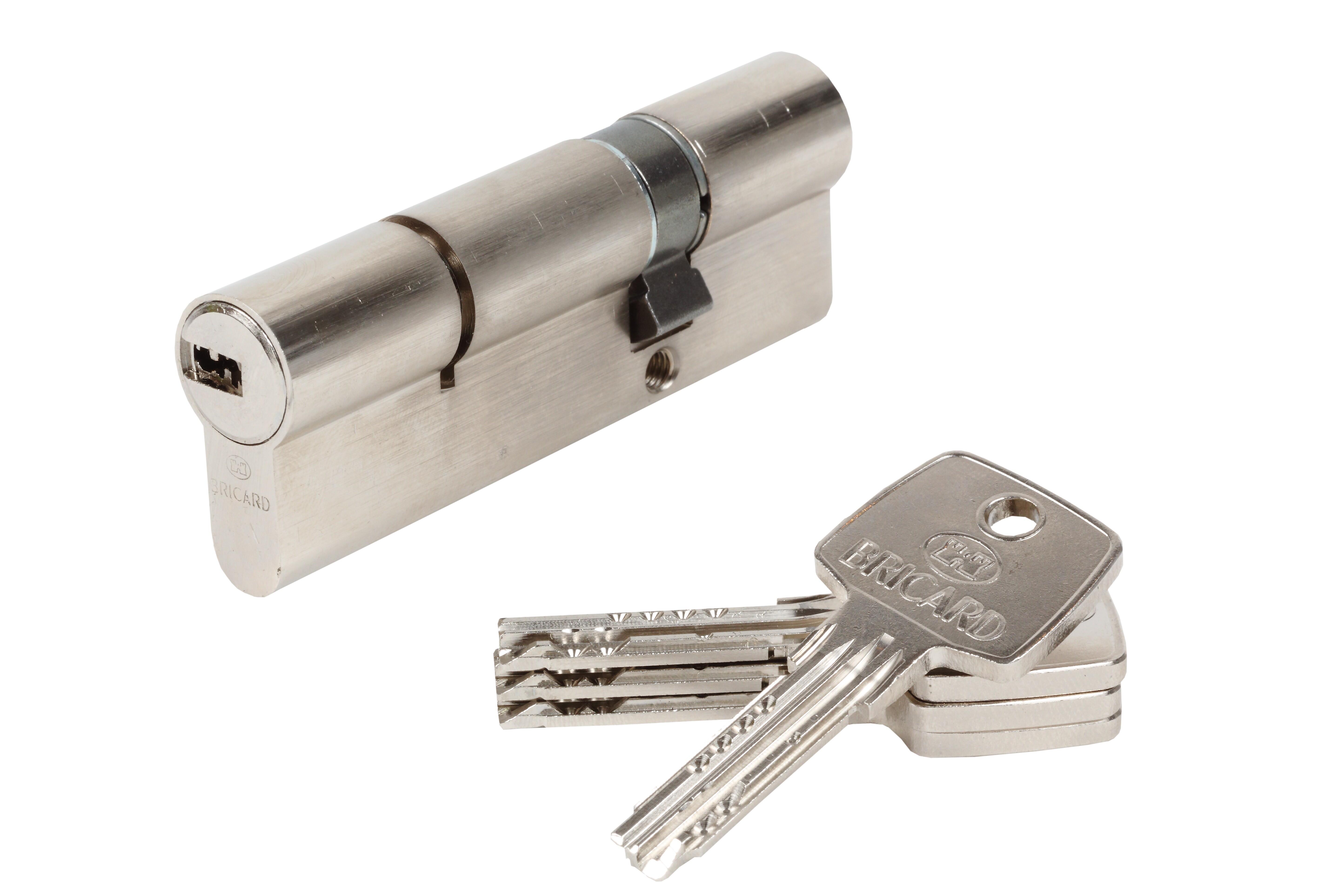 Cylindre de serrure BRICARD Astral débrayable L.30 + 60mm 4 clés ...