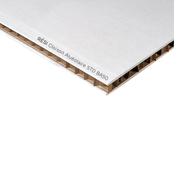 Placopan au meilleur prix | Leroy Merlin