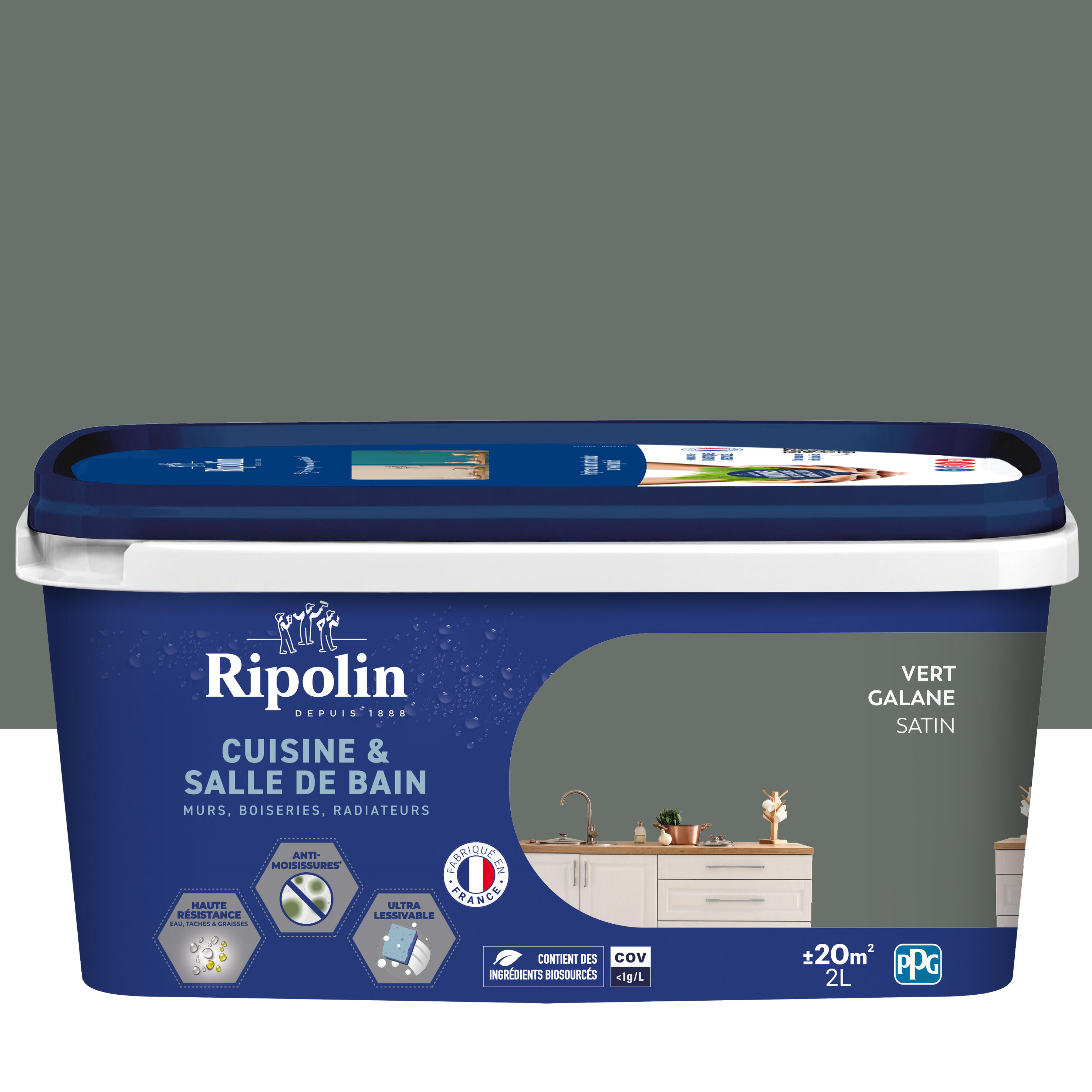 Peinture mur vert galane satin RIPOLIN Cuisine et bain 2L | Leroy Merlin