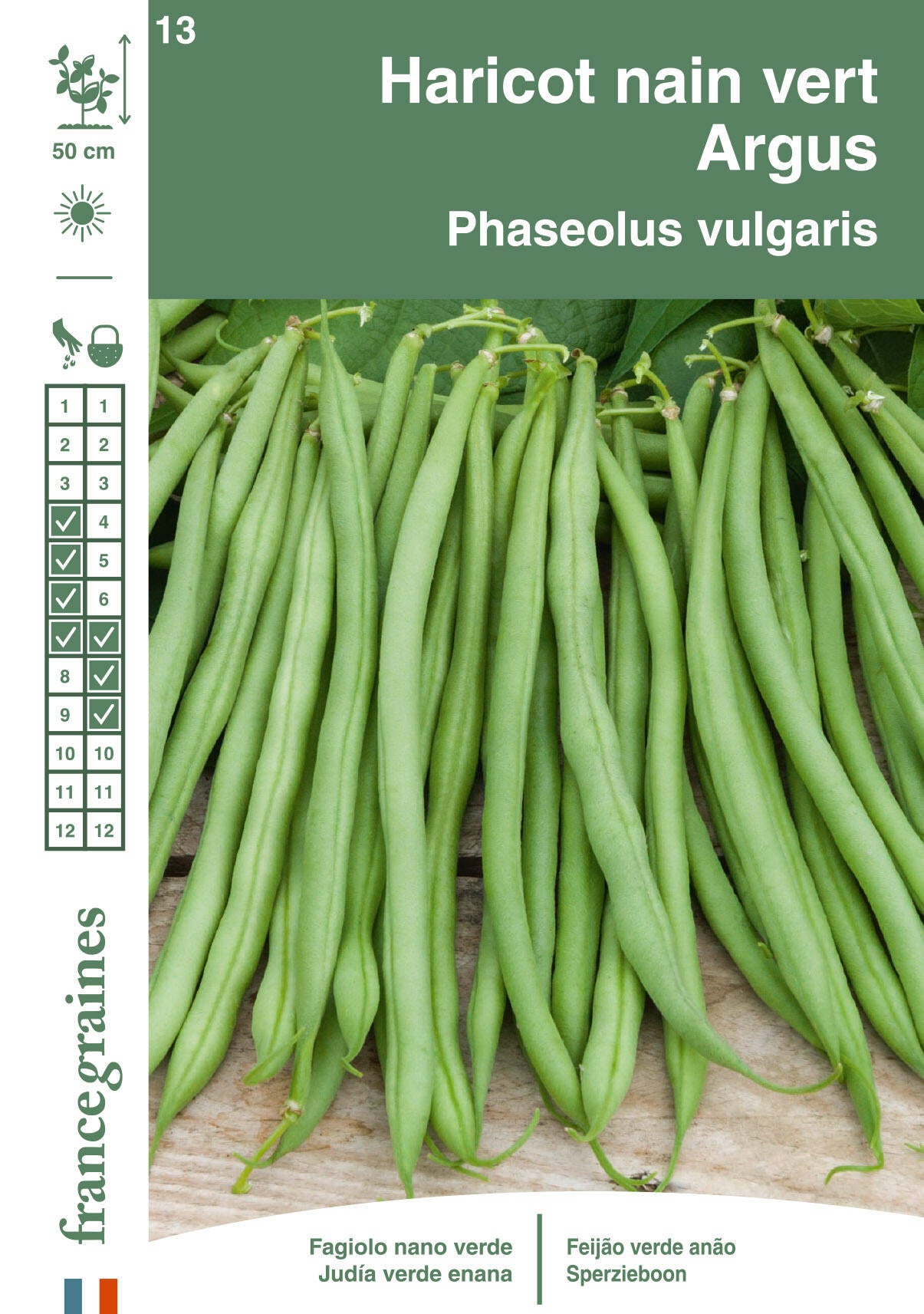 Graine potager argus FRANCE GRAINES 125 g | Leroy Merlin