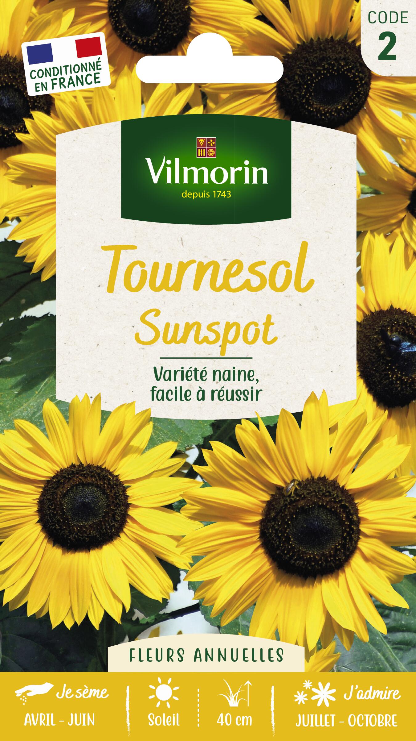 Graines de tournesol nain VILMORIN 1.5 g | Leroy Merlin
