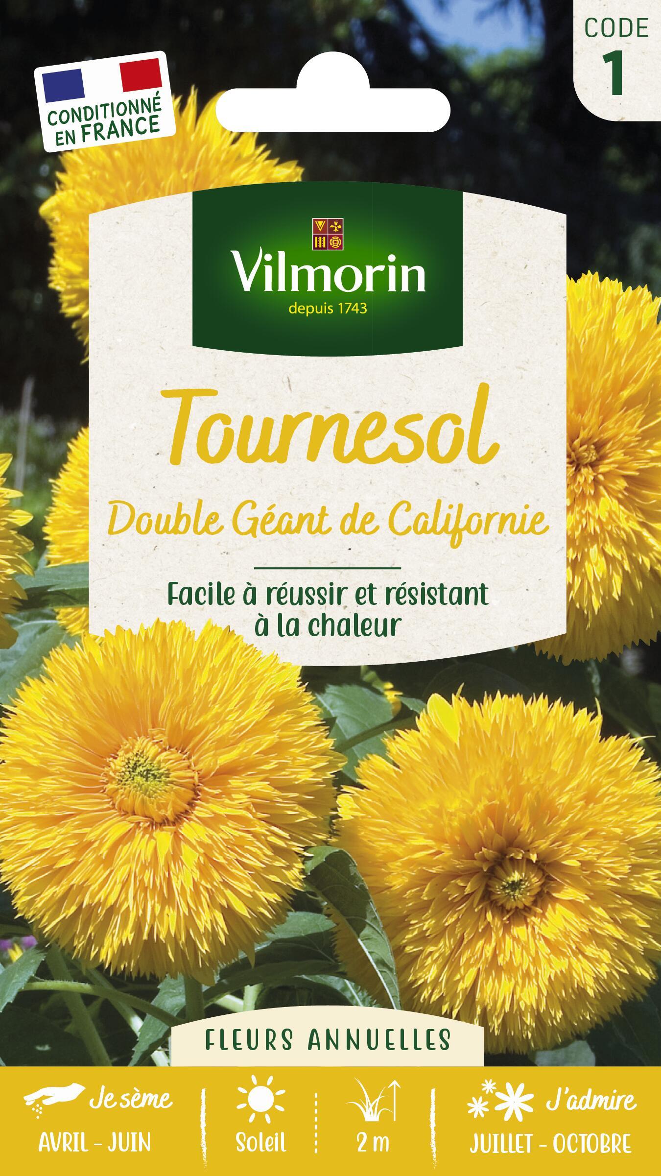 Graines de tournesol double géant VILMORIN 1.5 g | Leroy Merlin