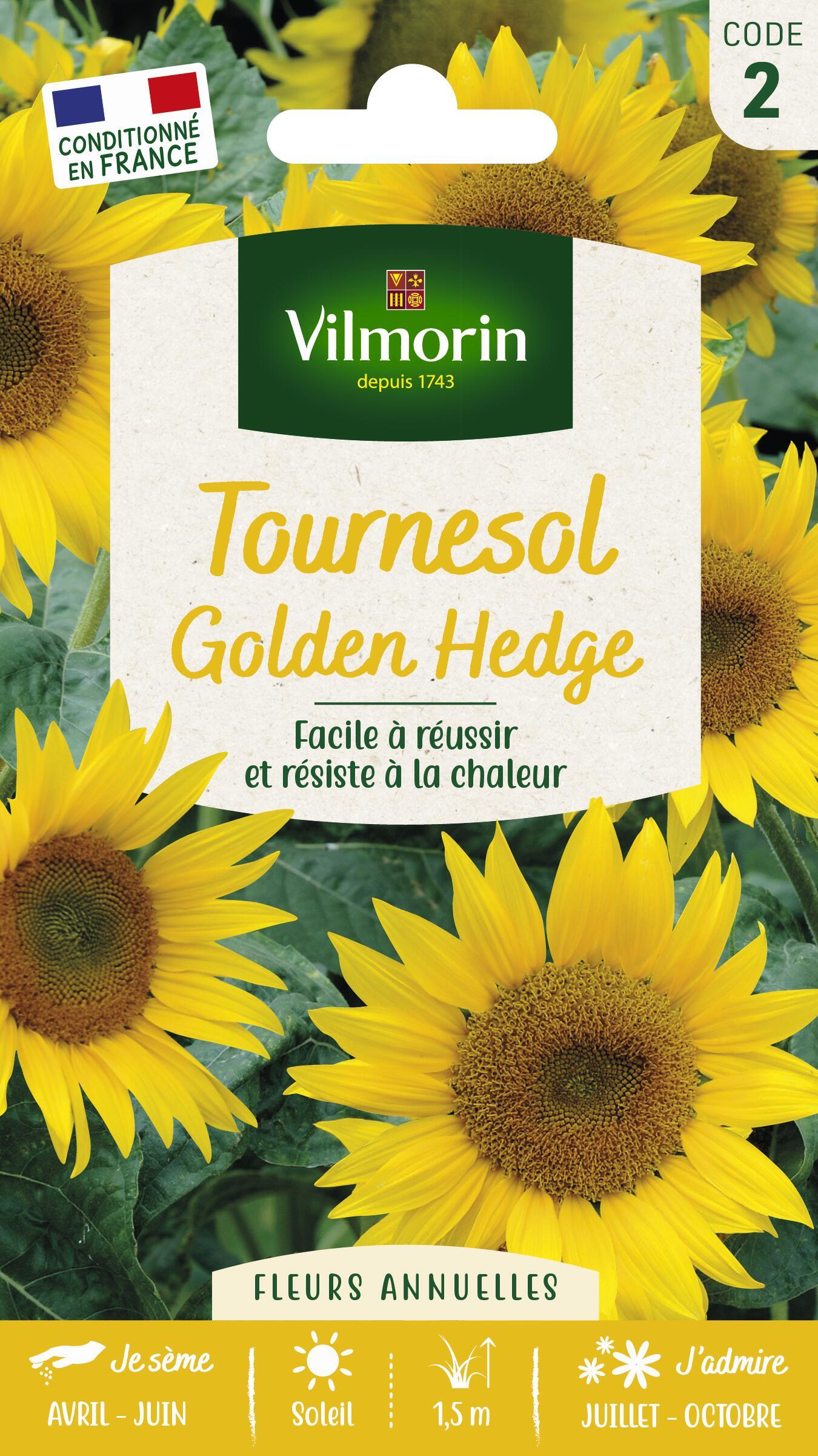 Graines de tournesol golden hedge VILMORIN 1.5 g | Leroy Merlin