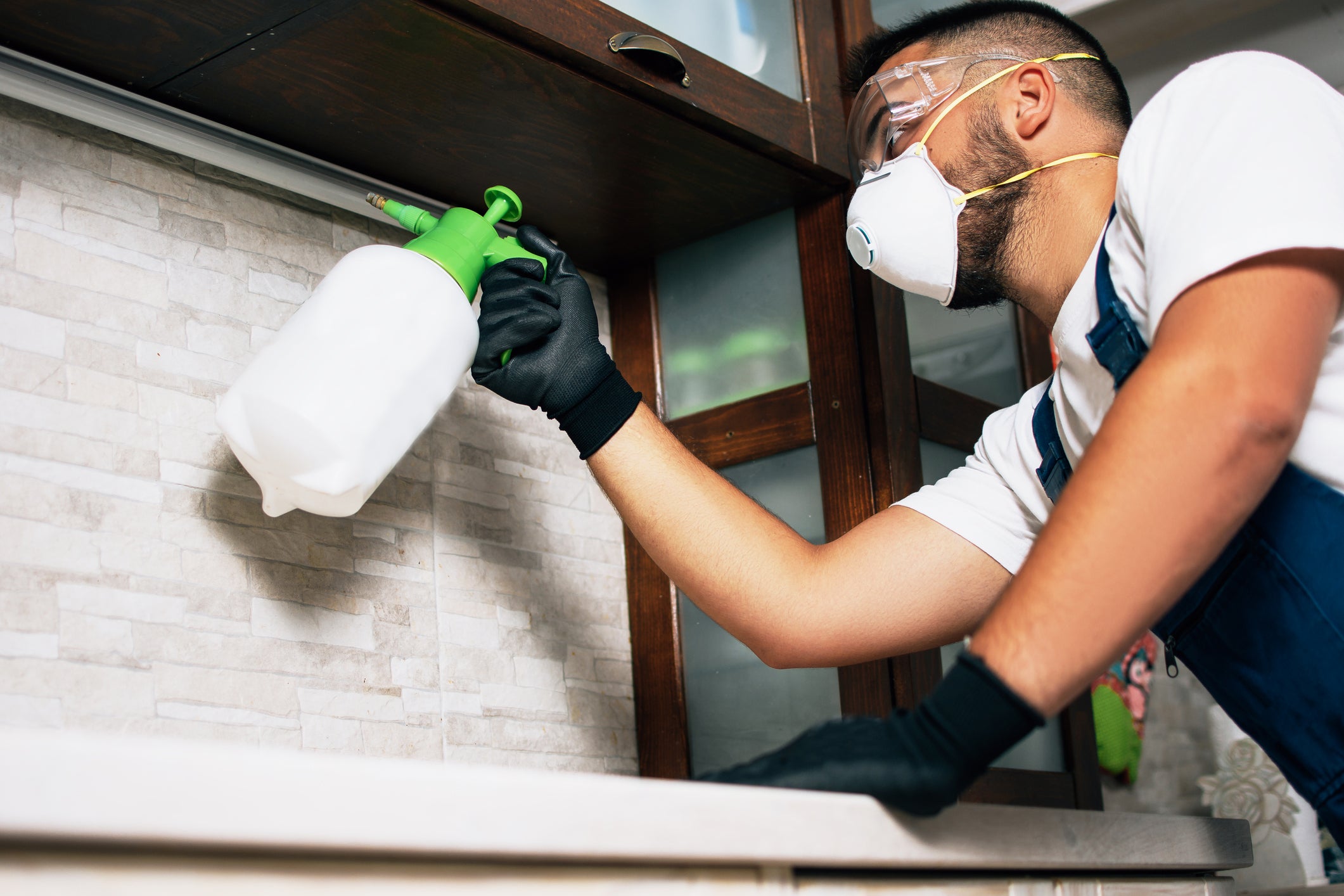 Szubak Smirnowa. Charakterystyka i zwalczanie - Leroy Merlin