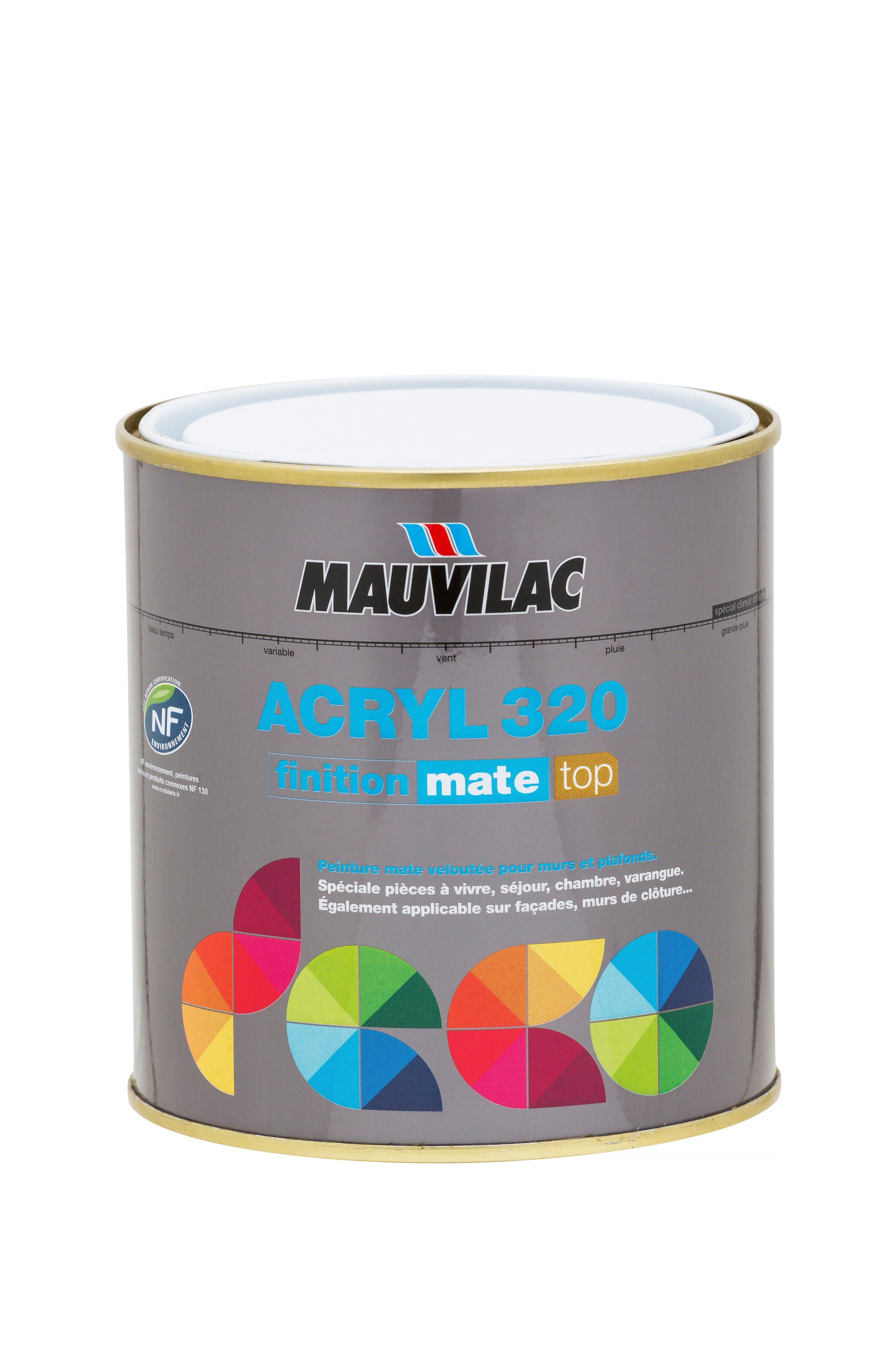 Acryl 320 Mat Gris Sideral 0,5L | Leroy Merlin