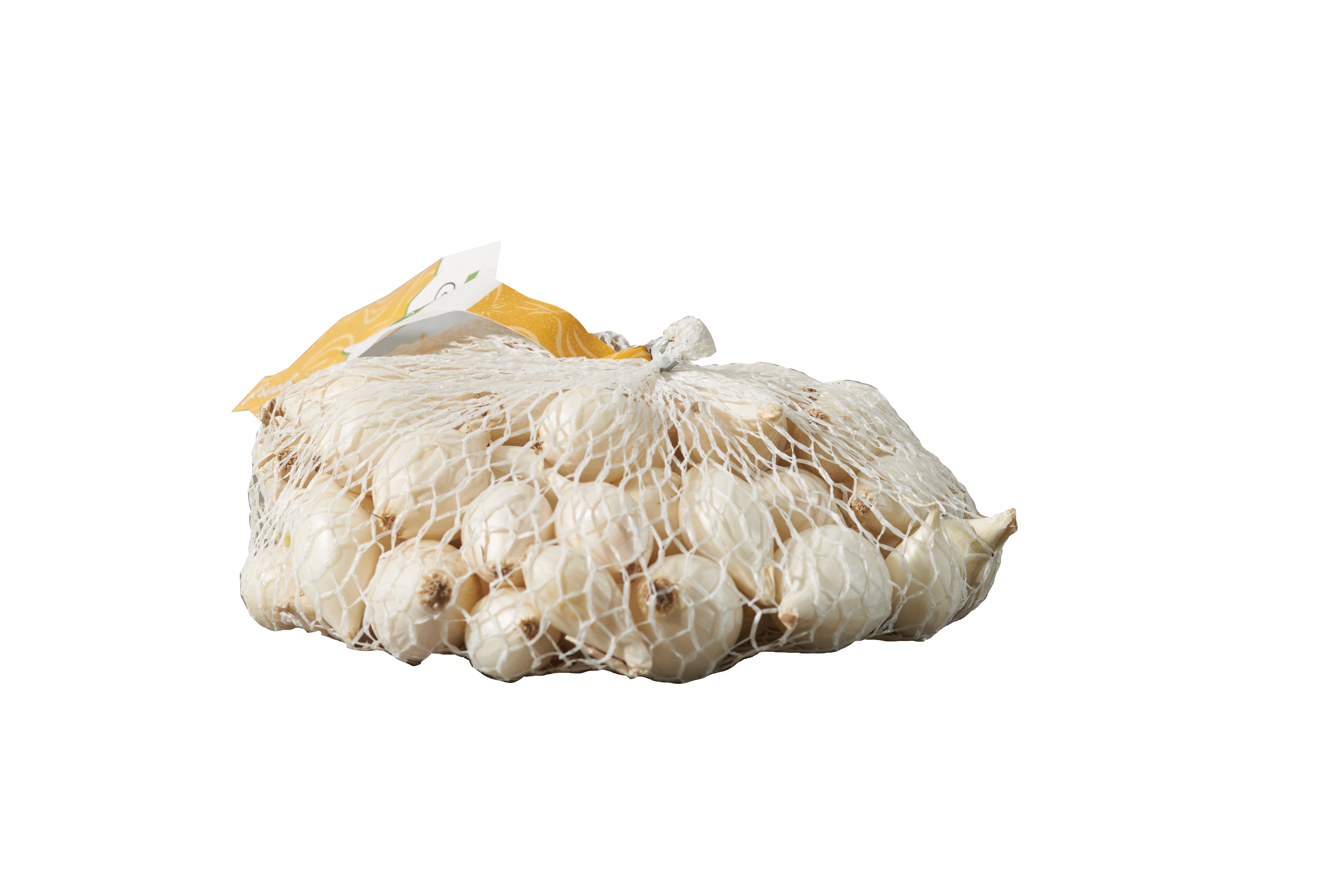 Cebula dymka Snowball 10/21 250g Geolia - Leroy Merlin