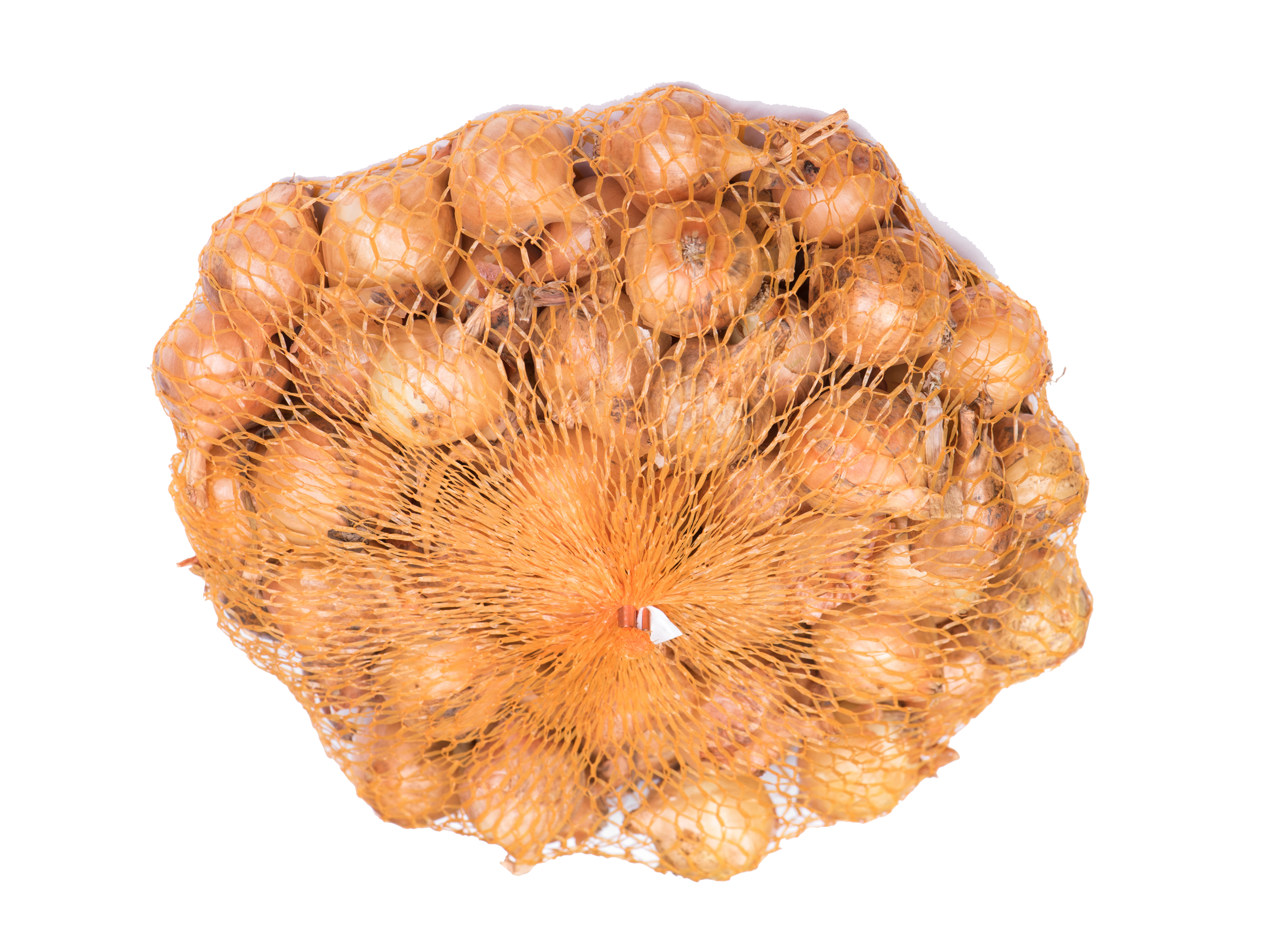 Cebula dymka Sturon 20/27 500g Geolia - Leroy Merlin