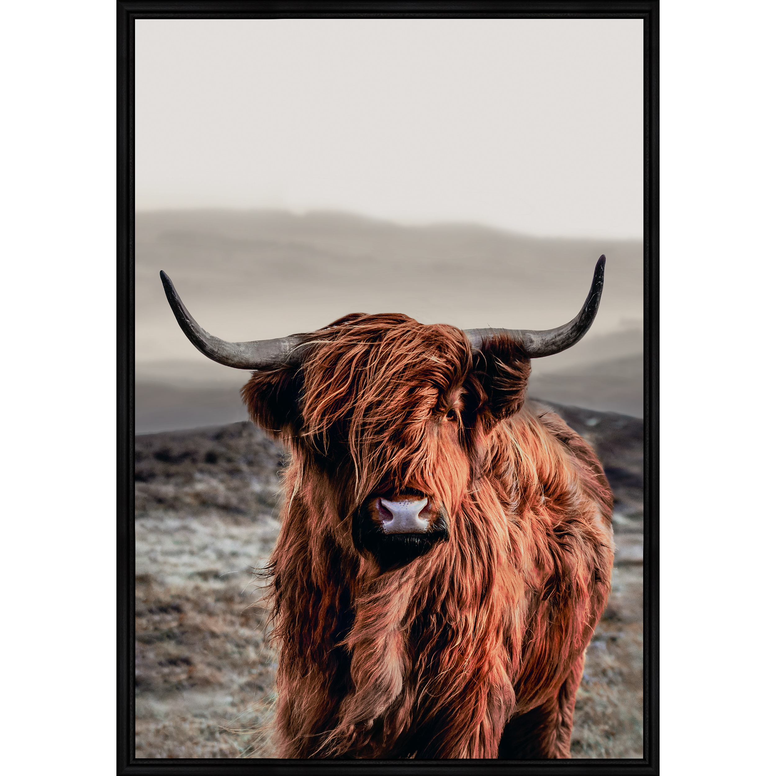 Obraz Byk 70 x 100 cm - Leroy Merlin