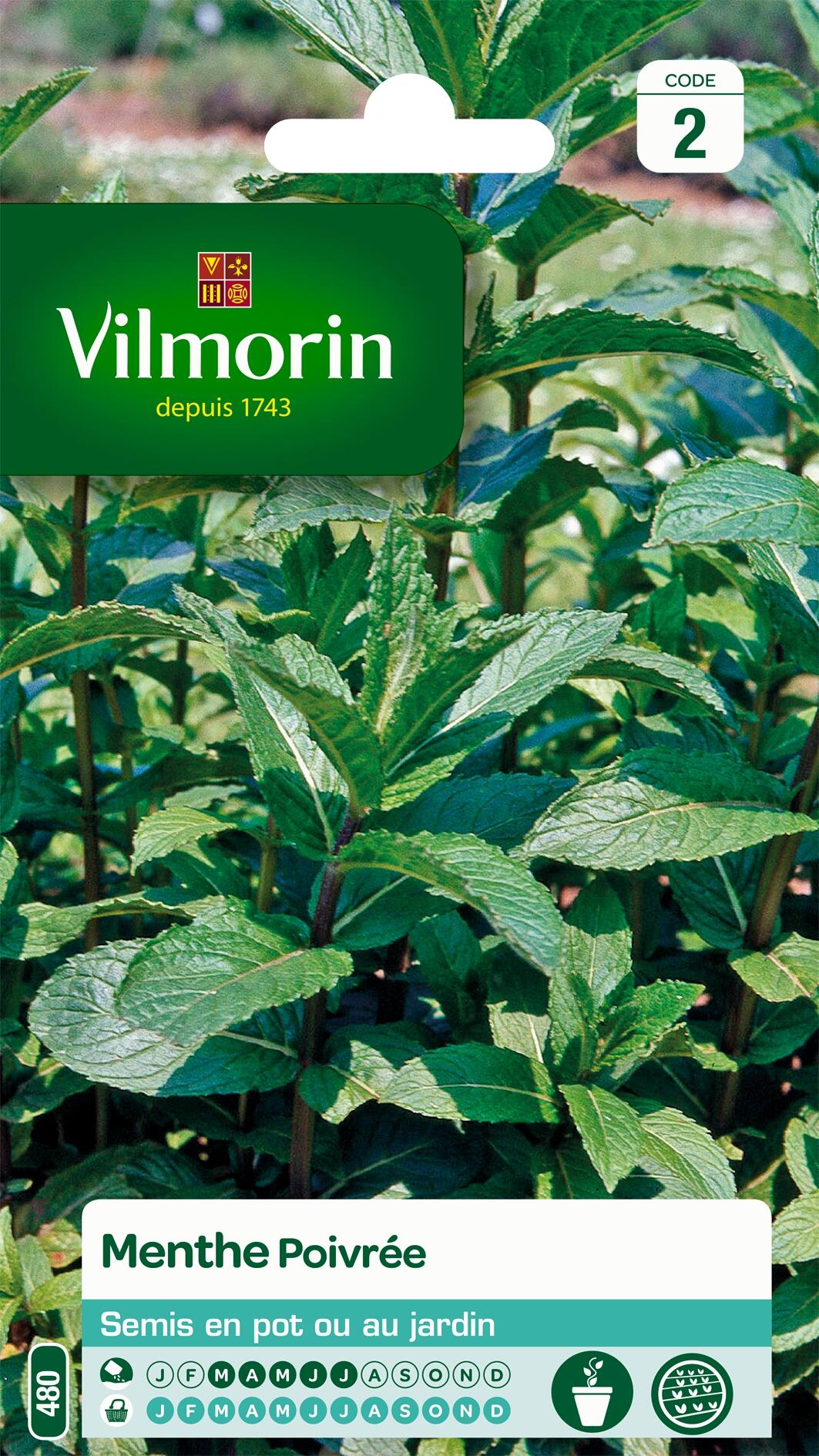 Graine potager VILMORIN 0.3 g | Leroy Merlin