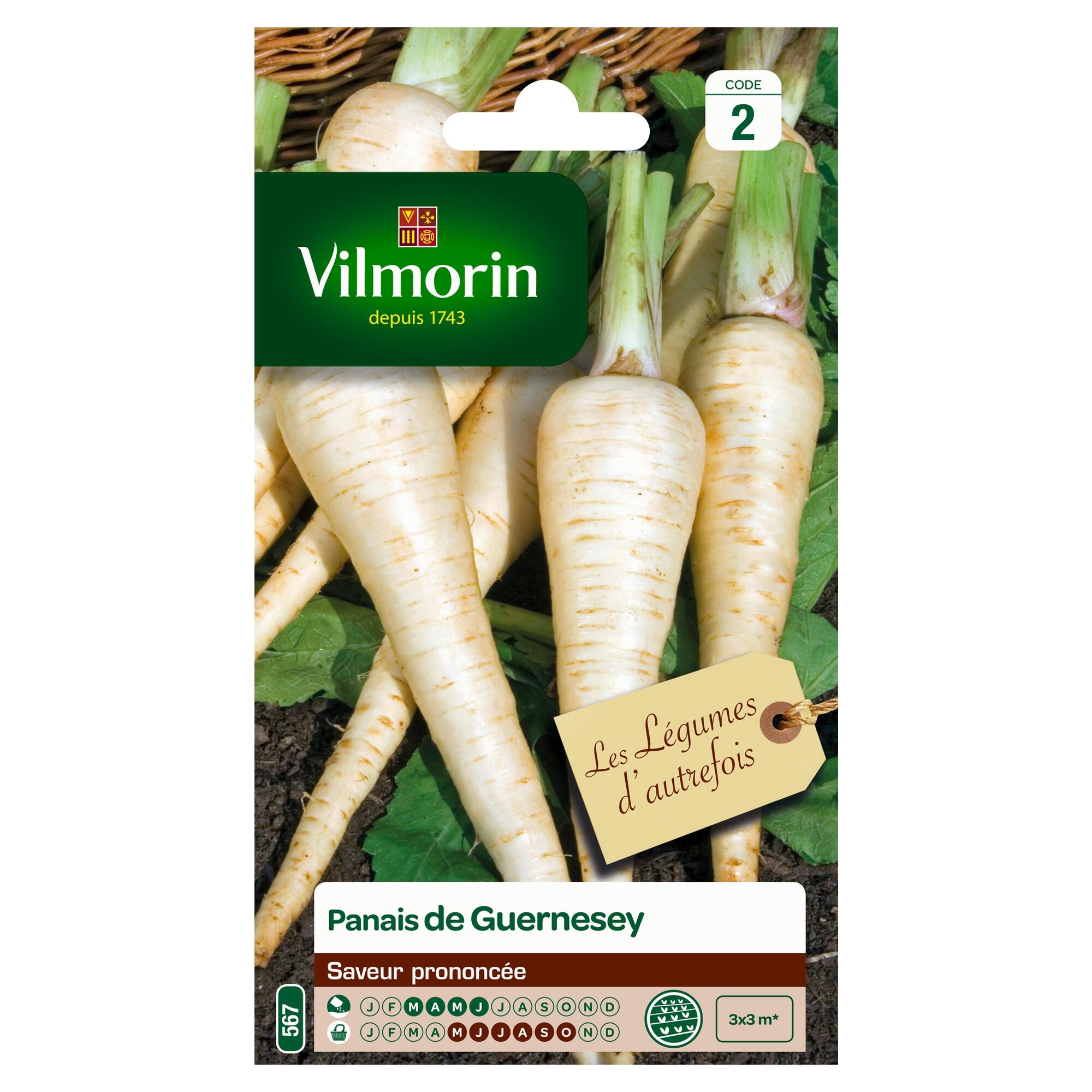 Graines VILMORIN 9 g | Leroy Merlin