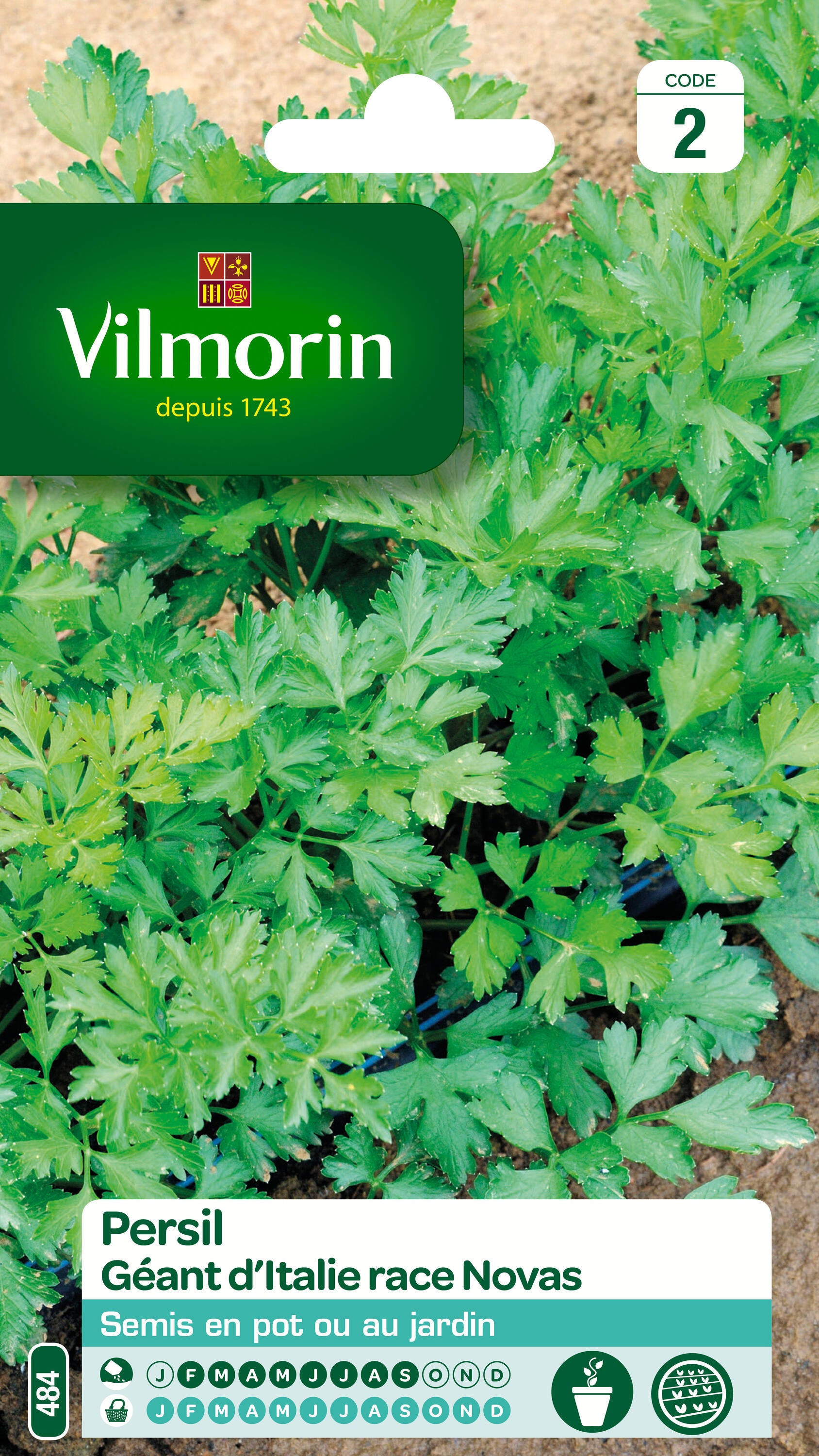 Persil novas VILMORIN 5 g | Leroy Merlin