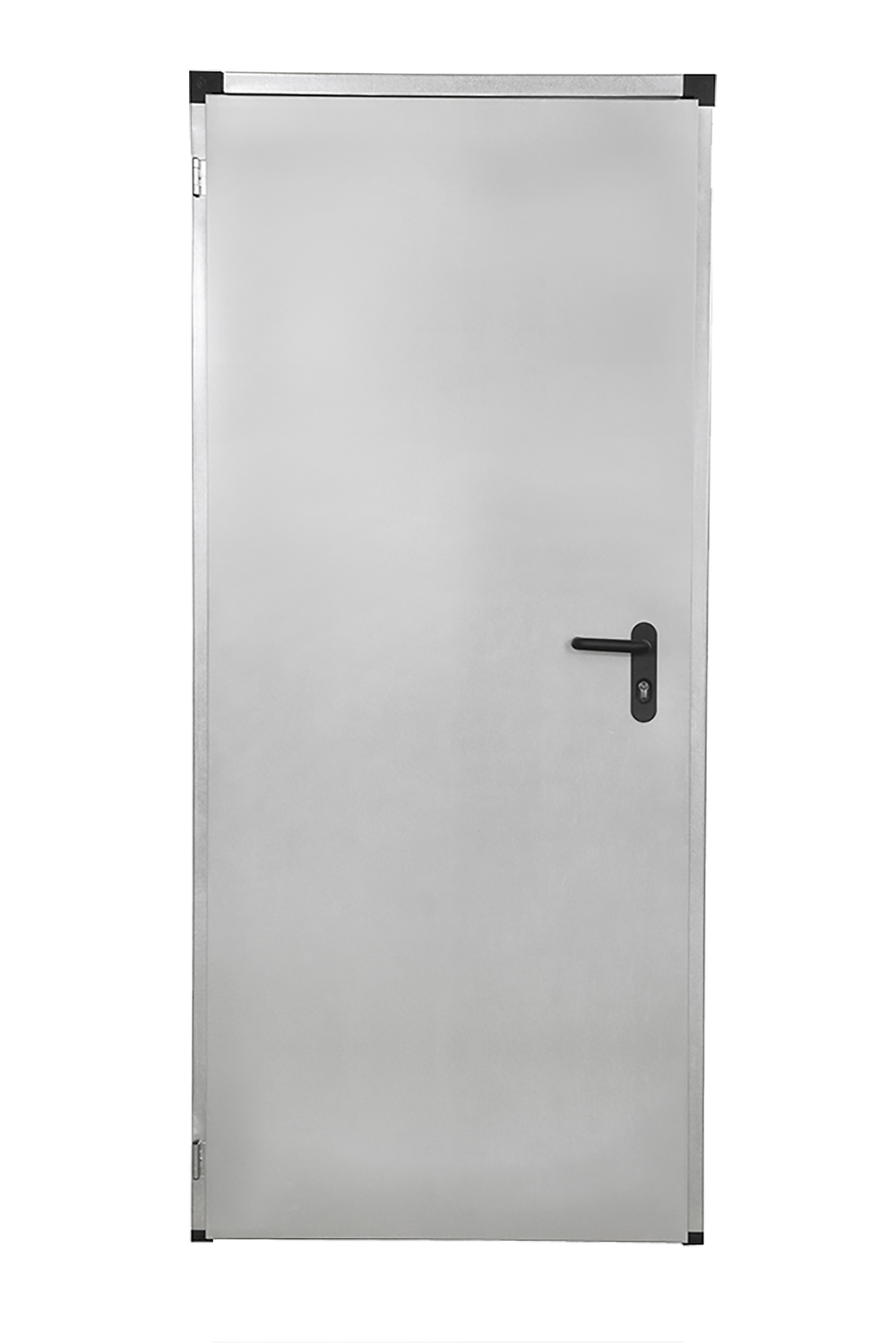 Porte de service isolée en acier galvanisé réversible H.204.5 x l.79 cm ...