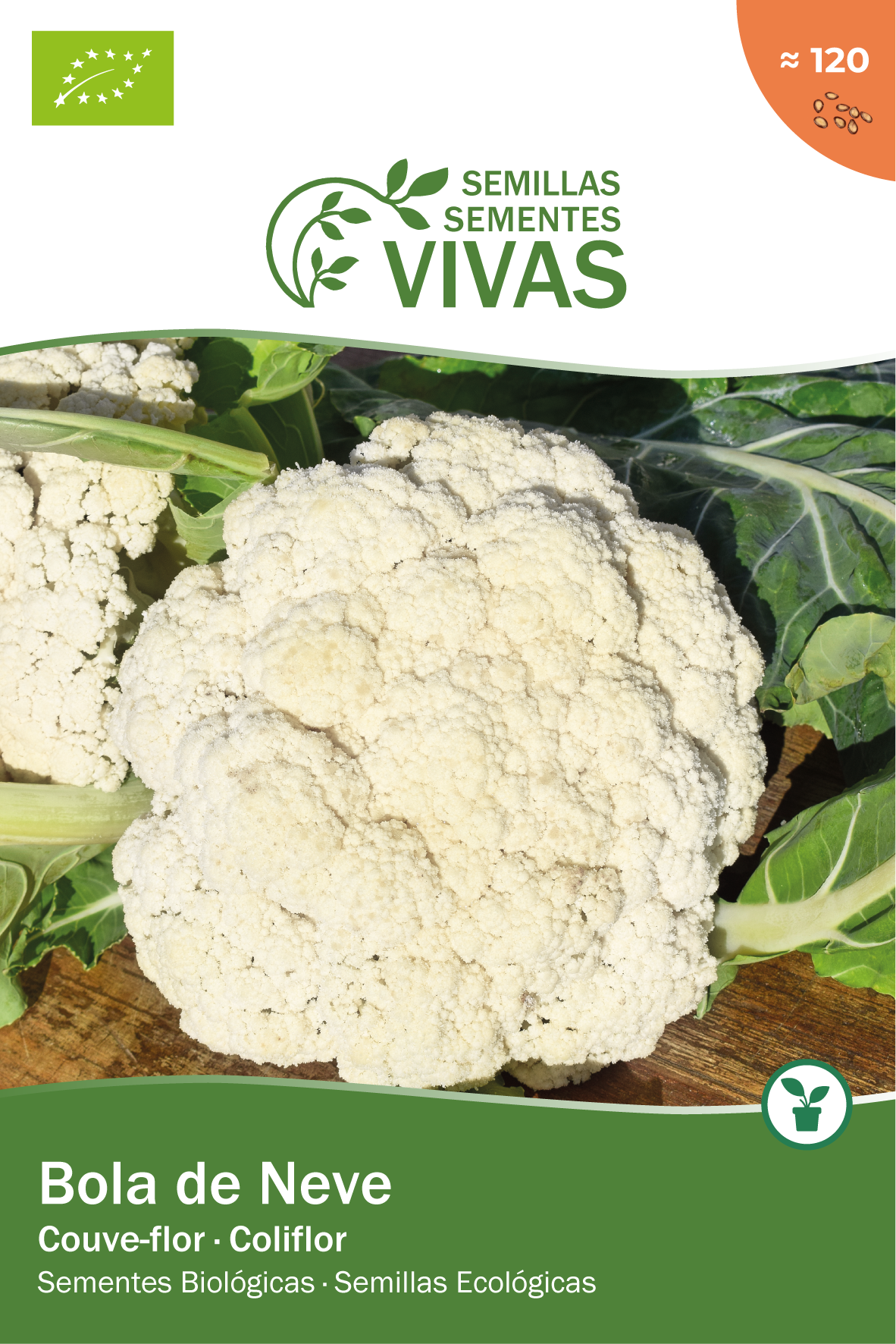Semilla de coliflor bola de neve Bio | Leroy Merlin