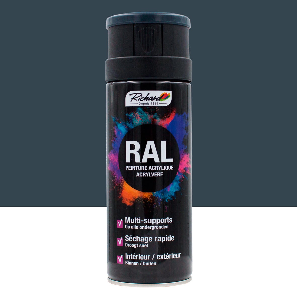 Multi-supports RICHARD gris graphite RAL 7024 brillant 400 ml | Leroy ...